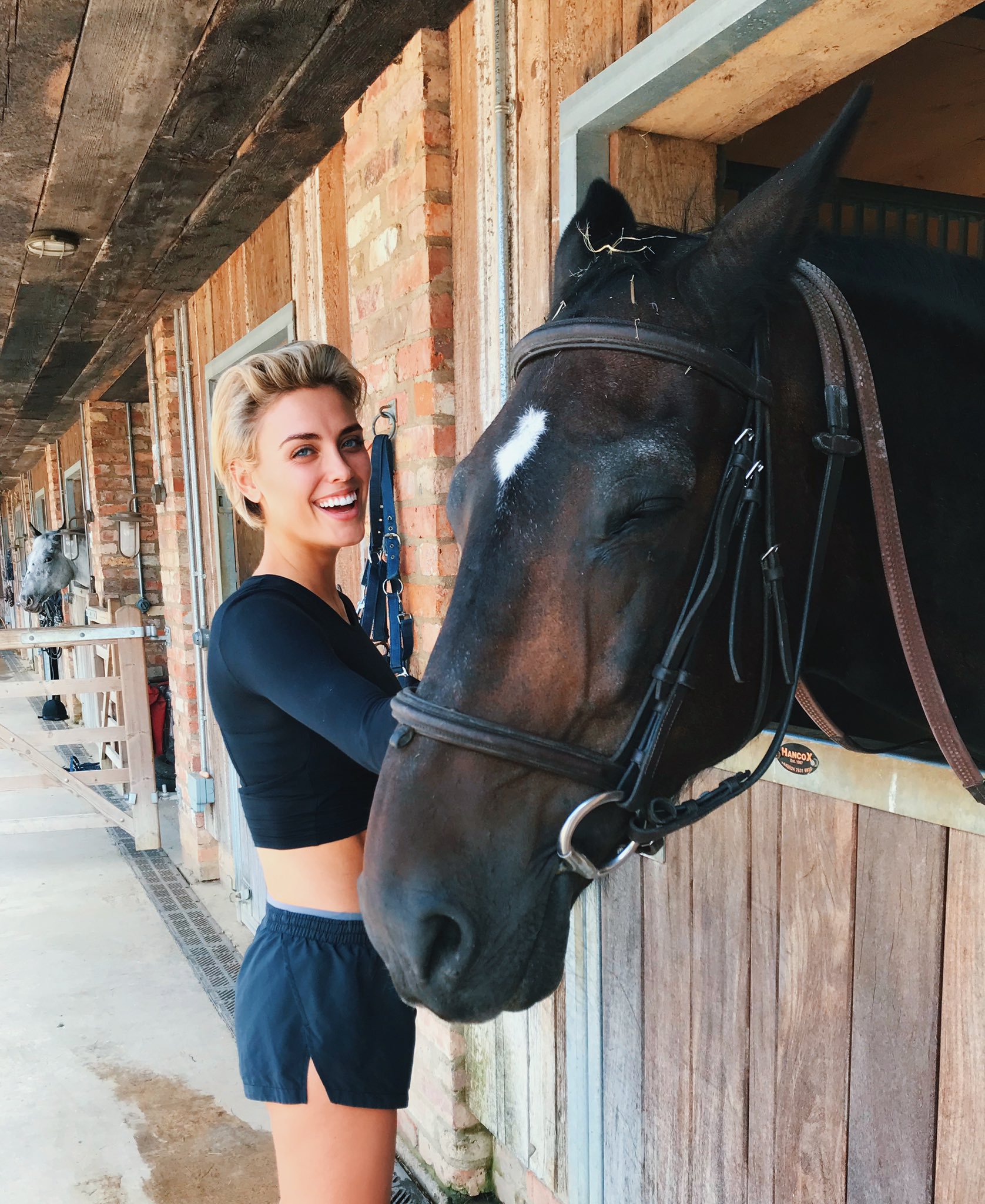 Equestrian | Scrolller