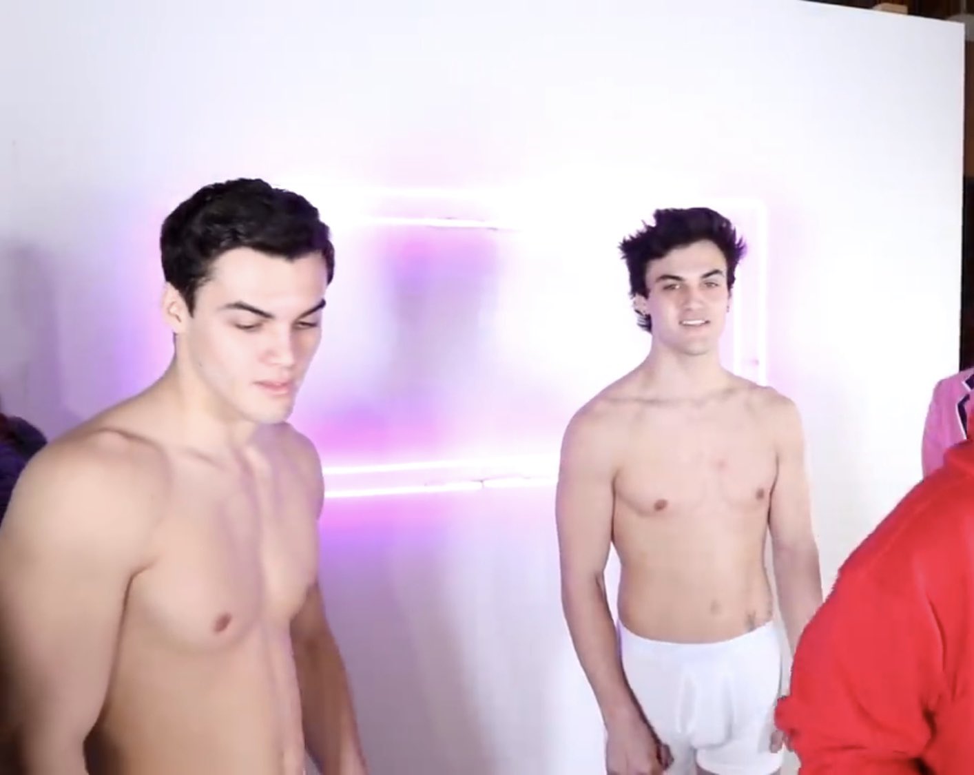 Ethan and Grayson Dolan Body Painting Bulge | Scrolller