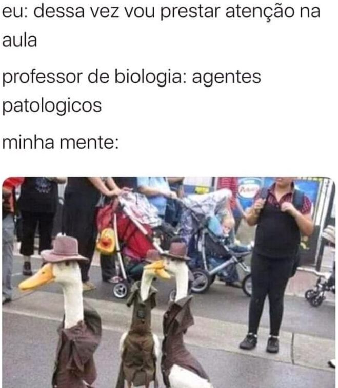 Eu ;-; kkk | Scrolller