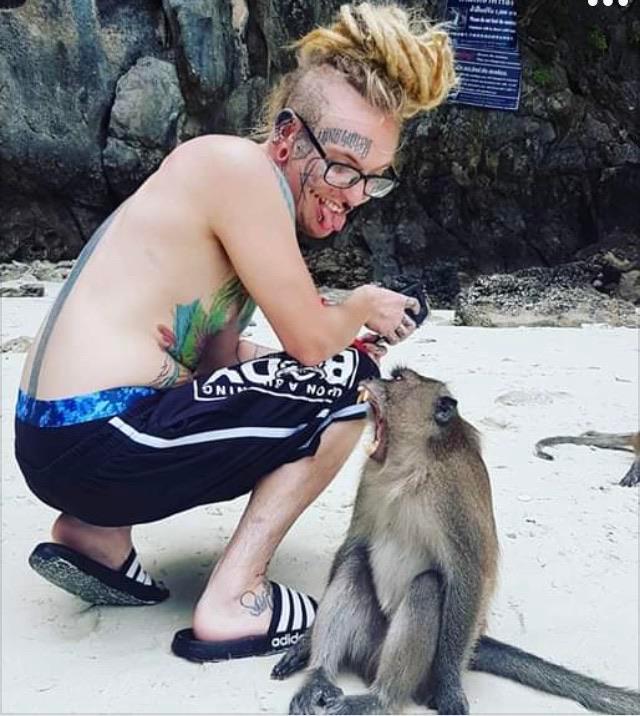 Even the monkey is outraged | Scrolller