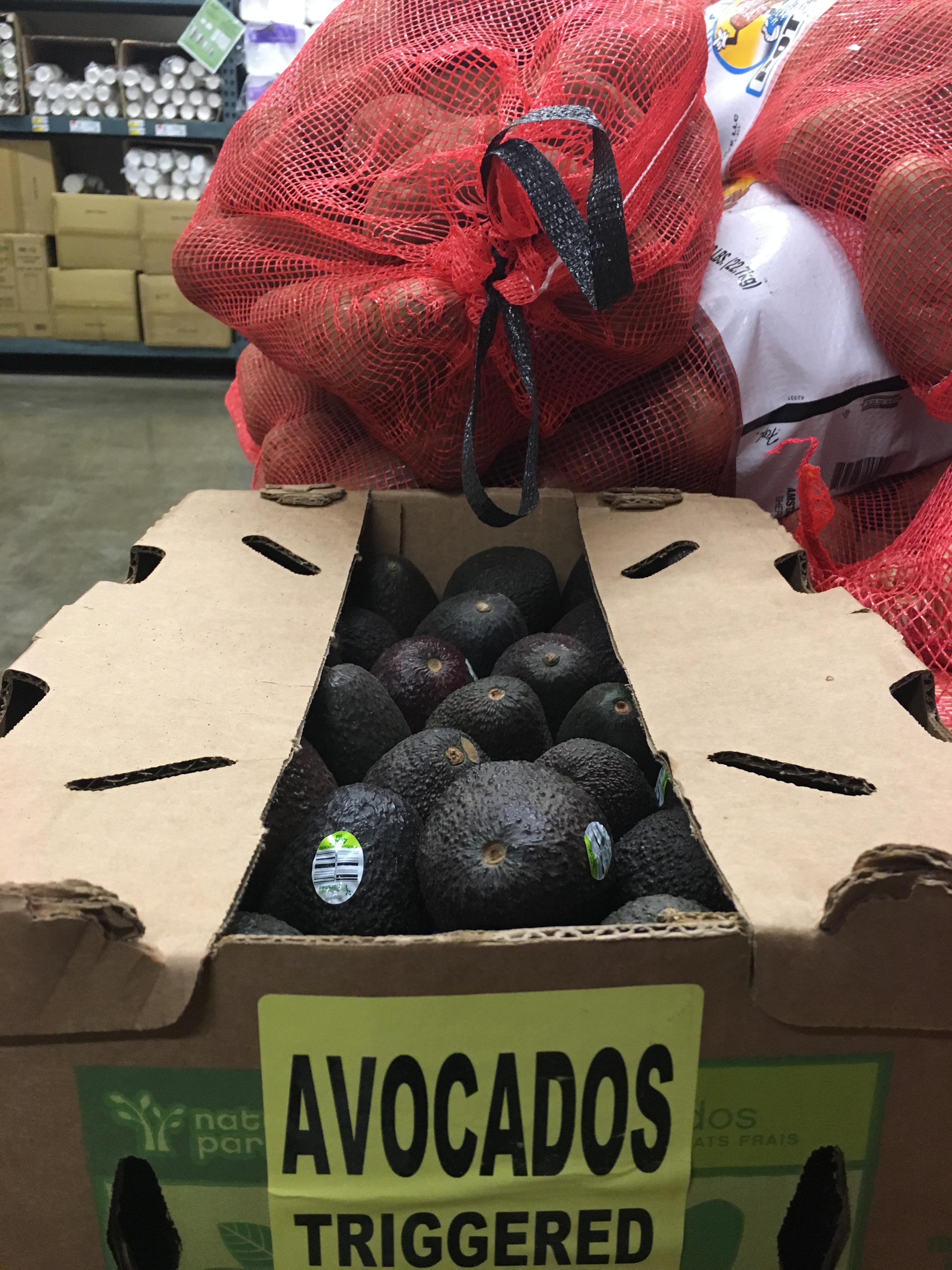 Ever been triggered by avocados? | Scrolller