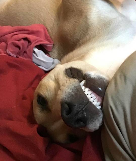 Every Day | Scrolller