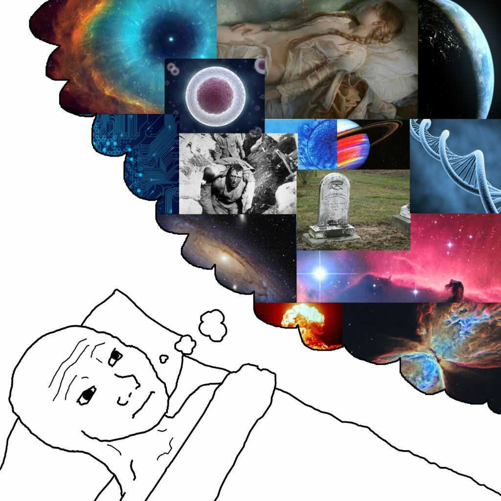 Every night before bed | Scrolller