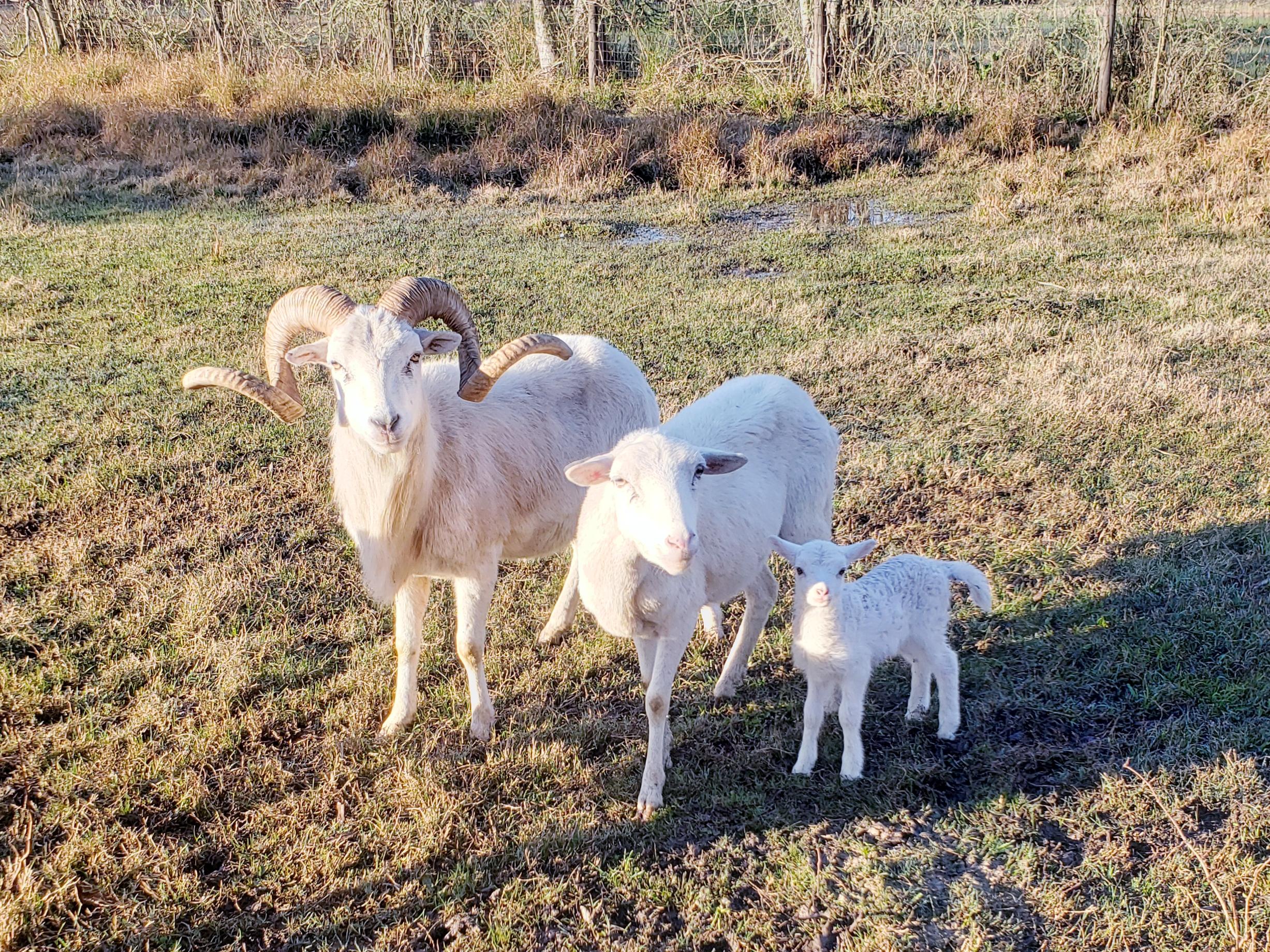 Everyone lined up perfectly for a family photo this morning 😁 | Scrolller