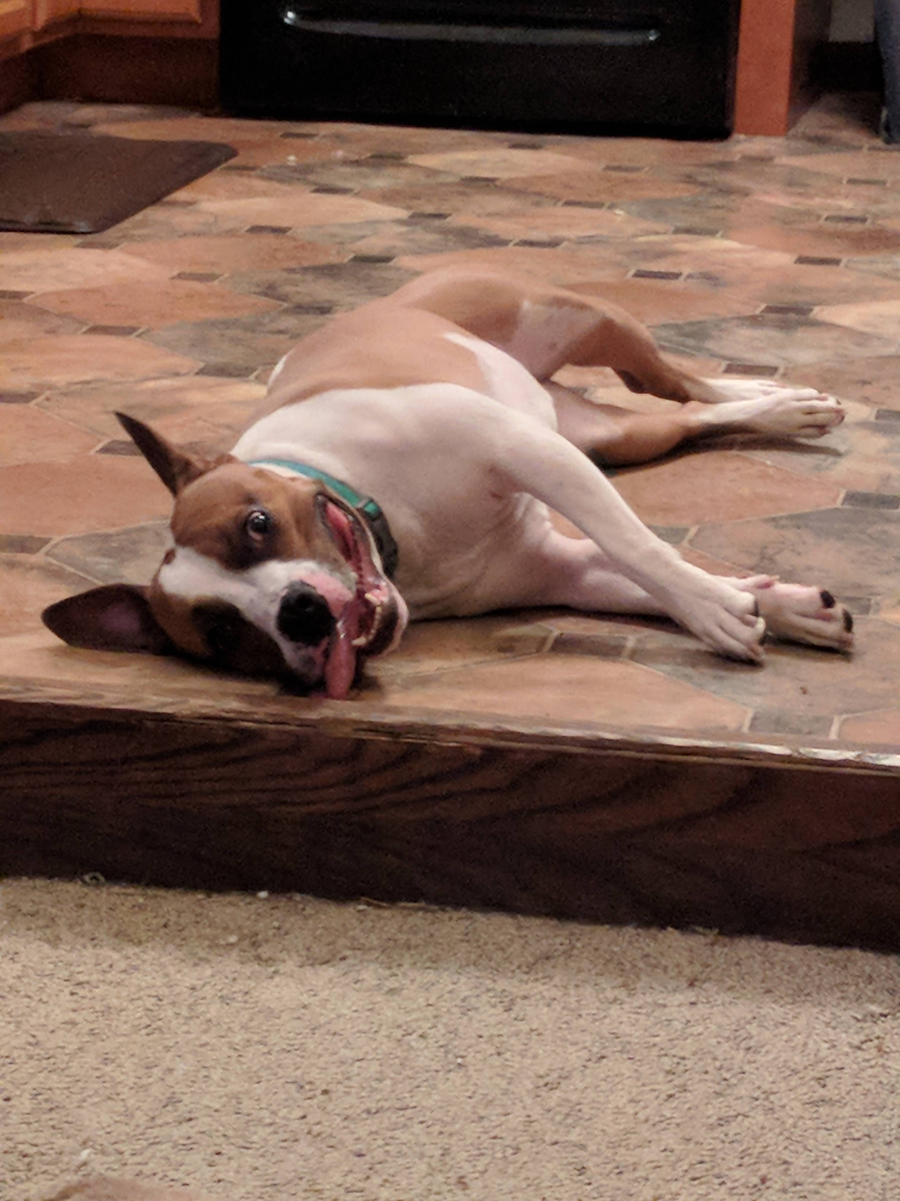 Exhausted and Content | Scrolller