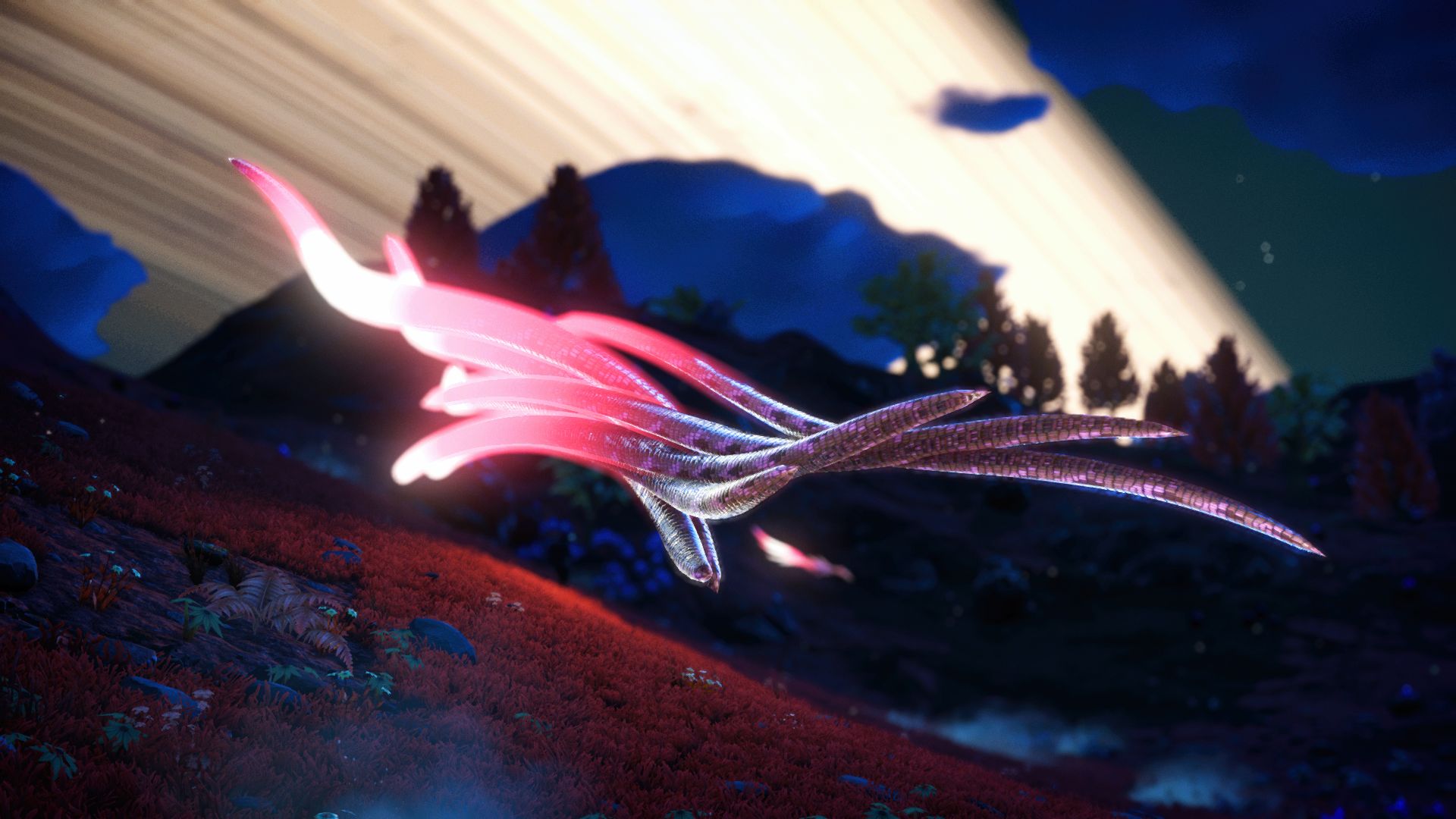 Exotic III | Scrolller