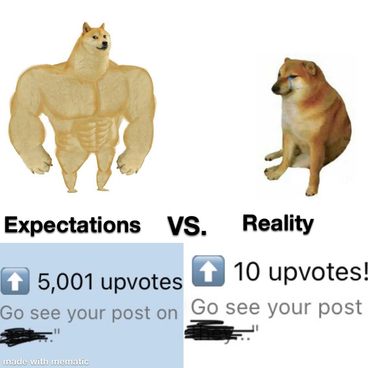 Expectations vs. Reality | Scrolller