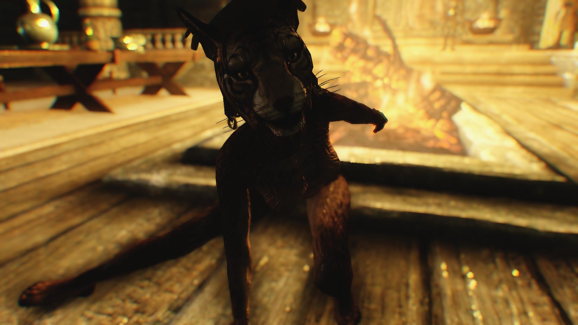 [F]irst album- Tanner the Khajiit | Scrolller