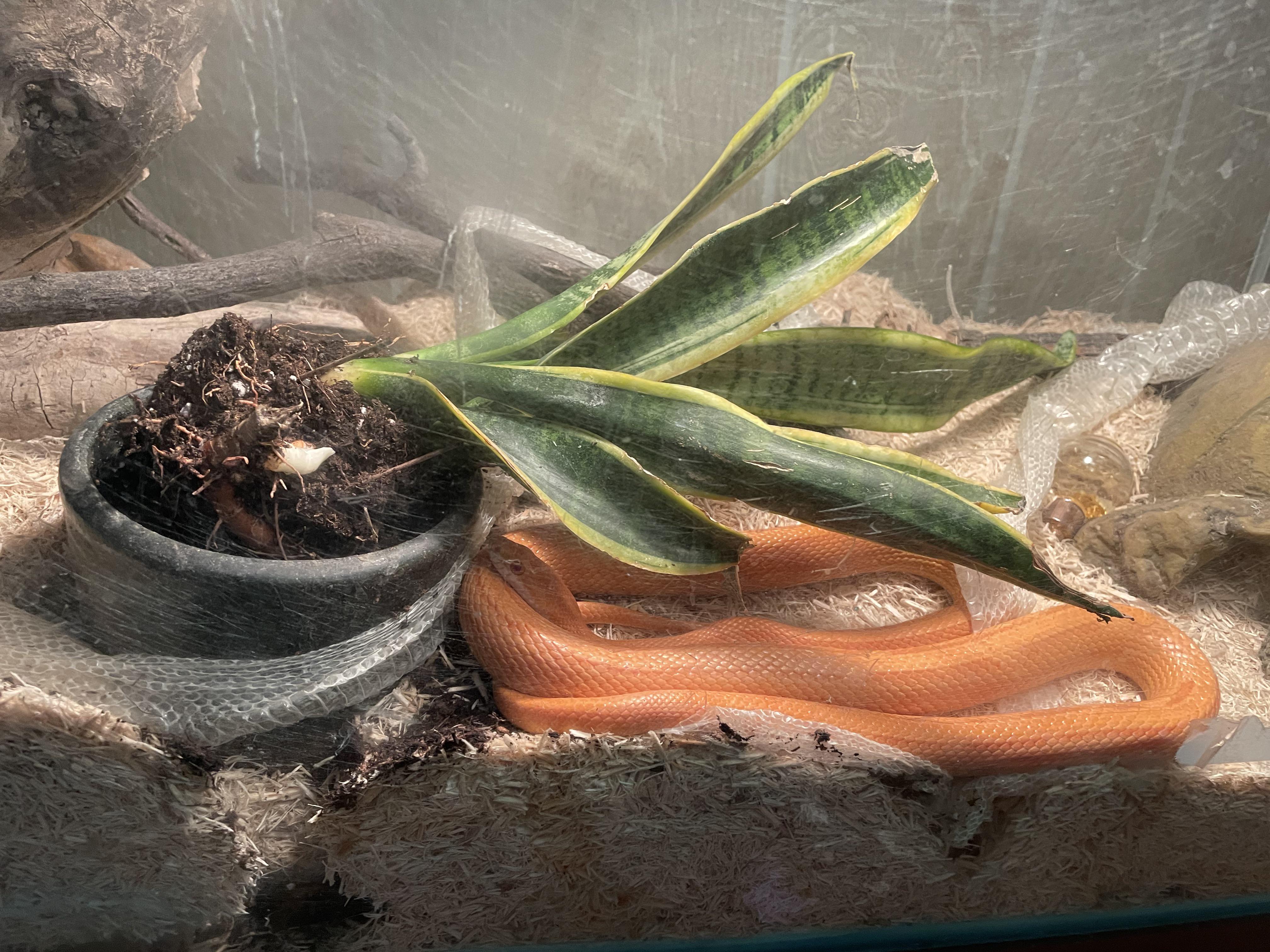 F**k this plant | Scrolller