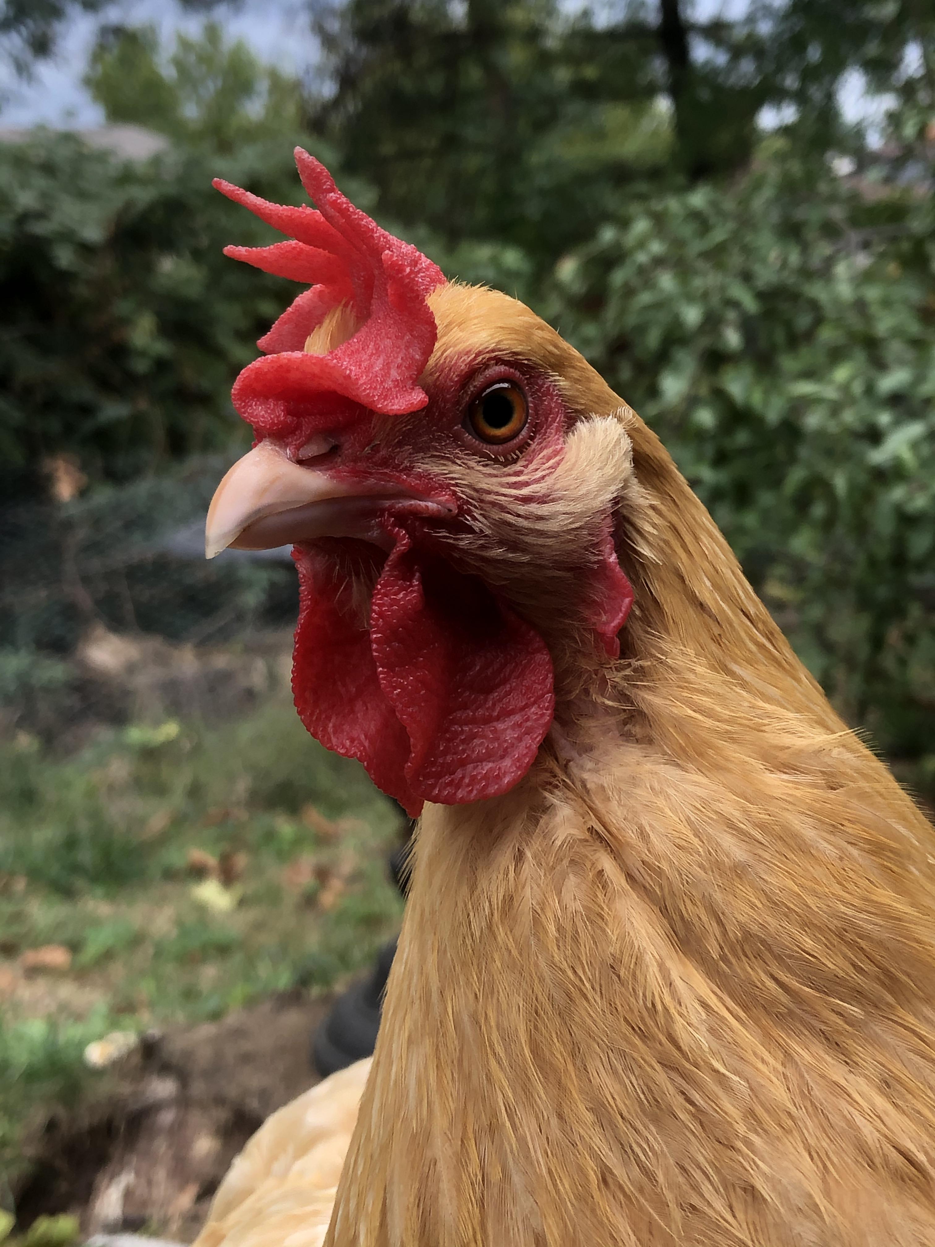 Faith was ready for her close-up 💅🏻 | Scrolller