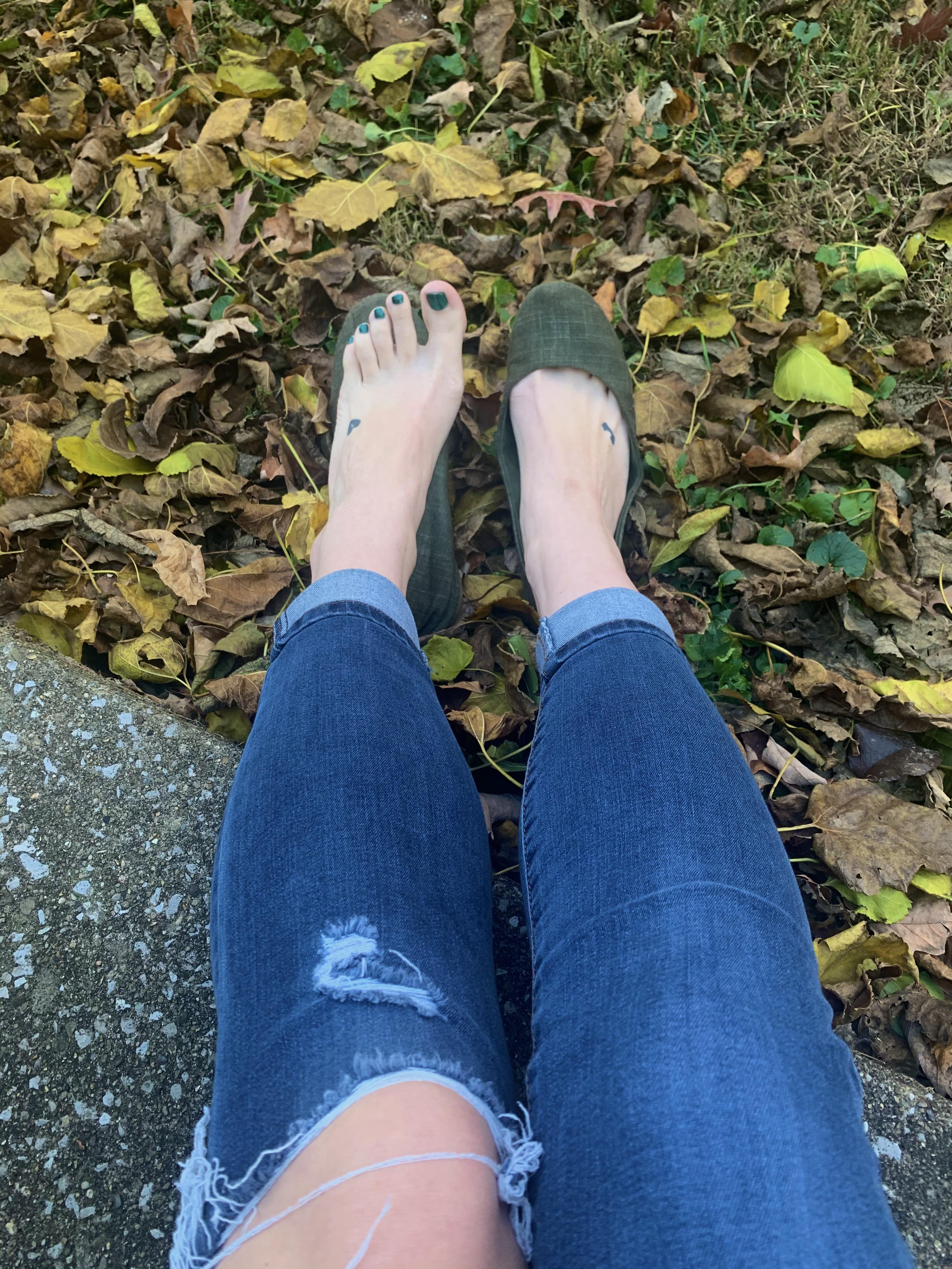 Fall 🍂 | Scrolller