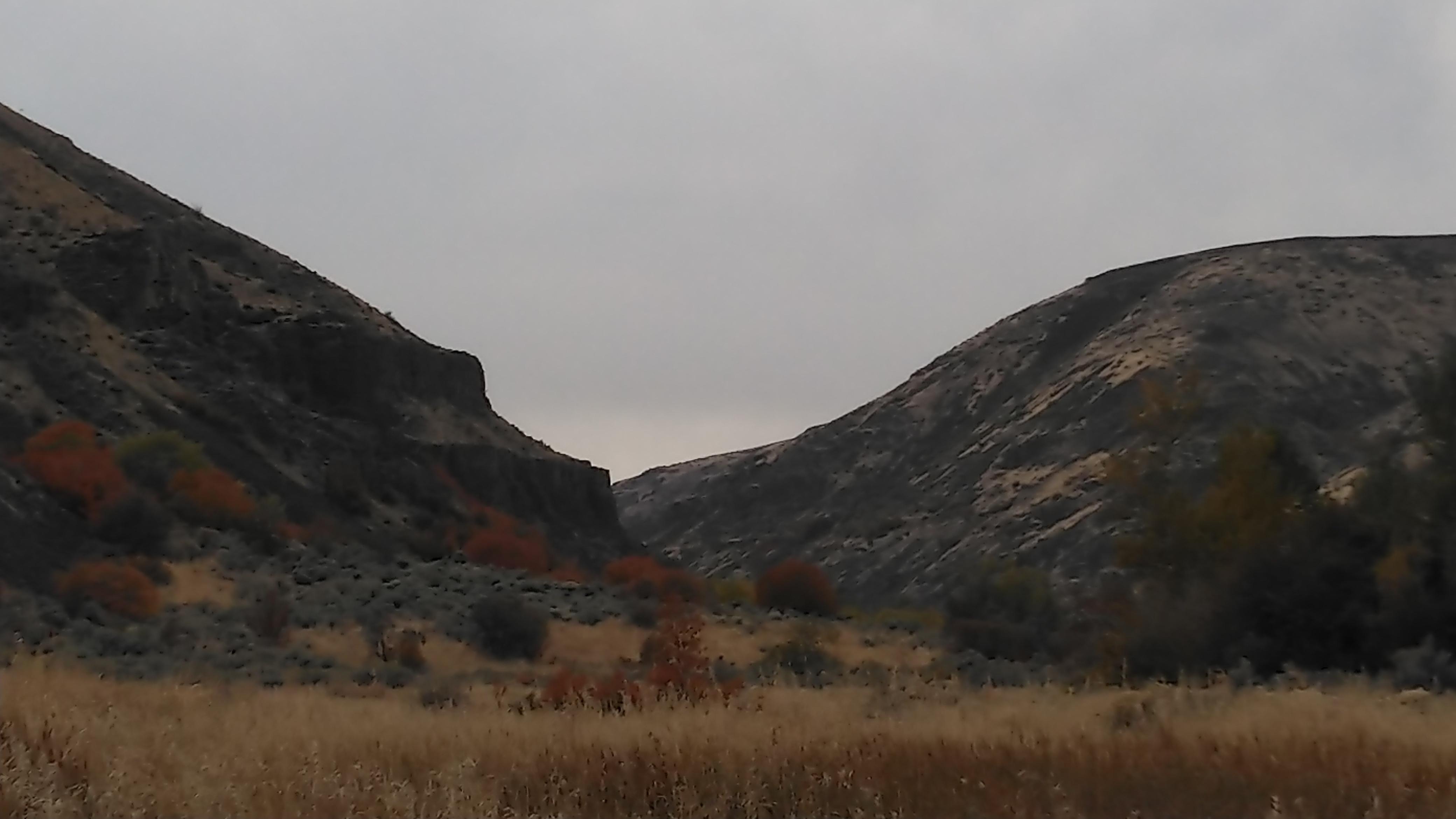 Fall colors in Yakima canyon (oc) | Scrolller