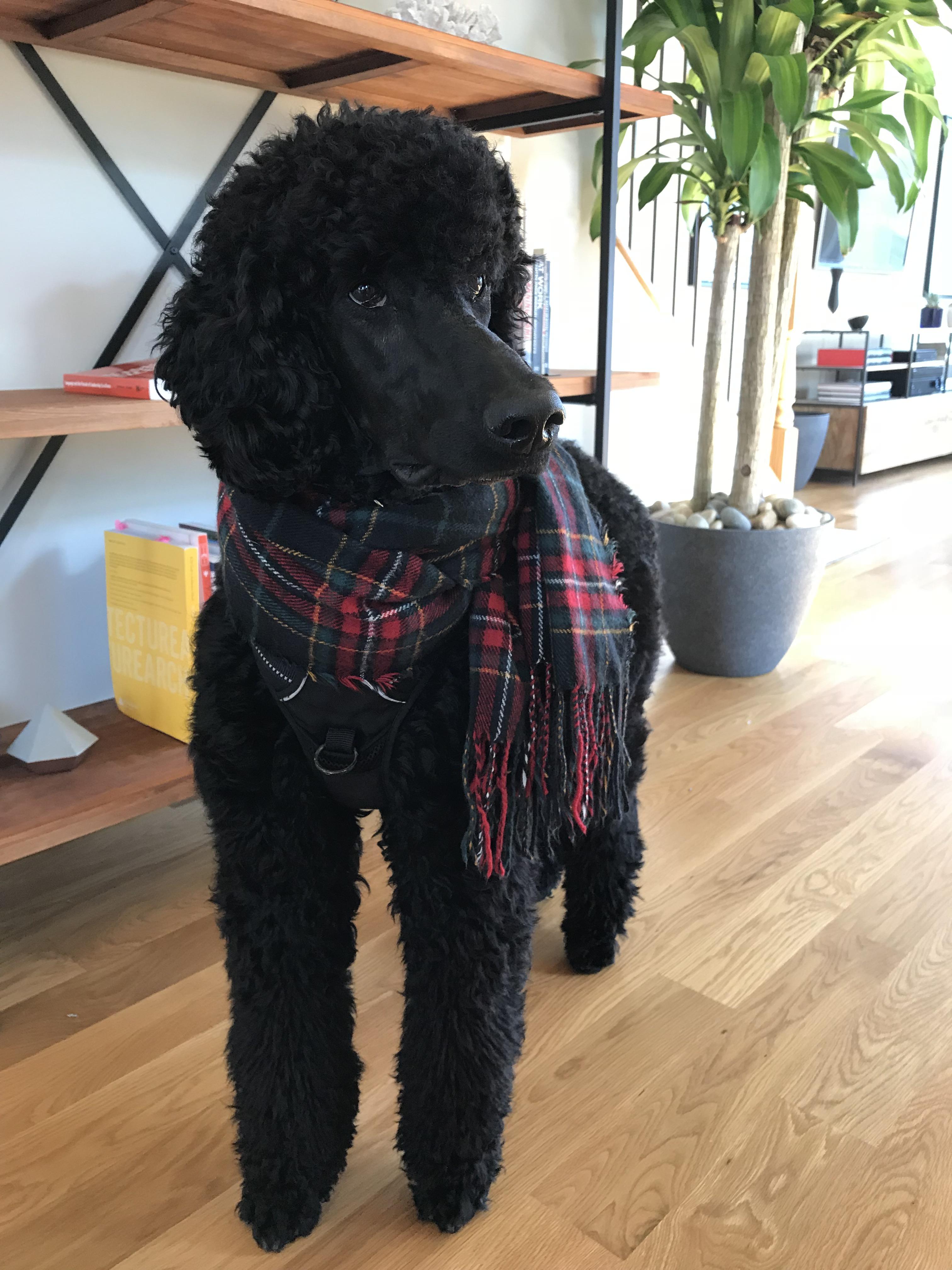 Fall is here! | Scrolller