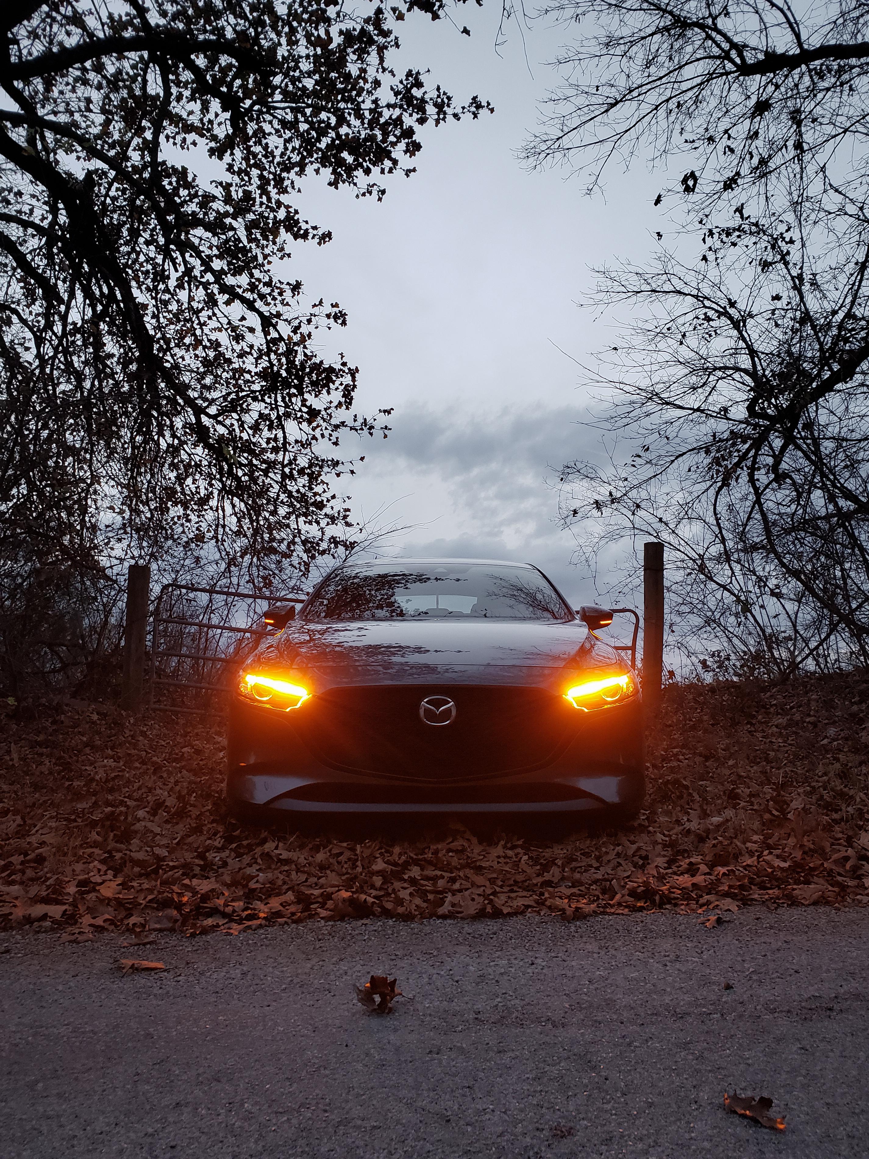 Fall vibes with my gen 4 🍁🍁 | Scrolller