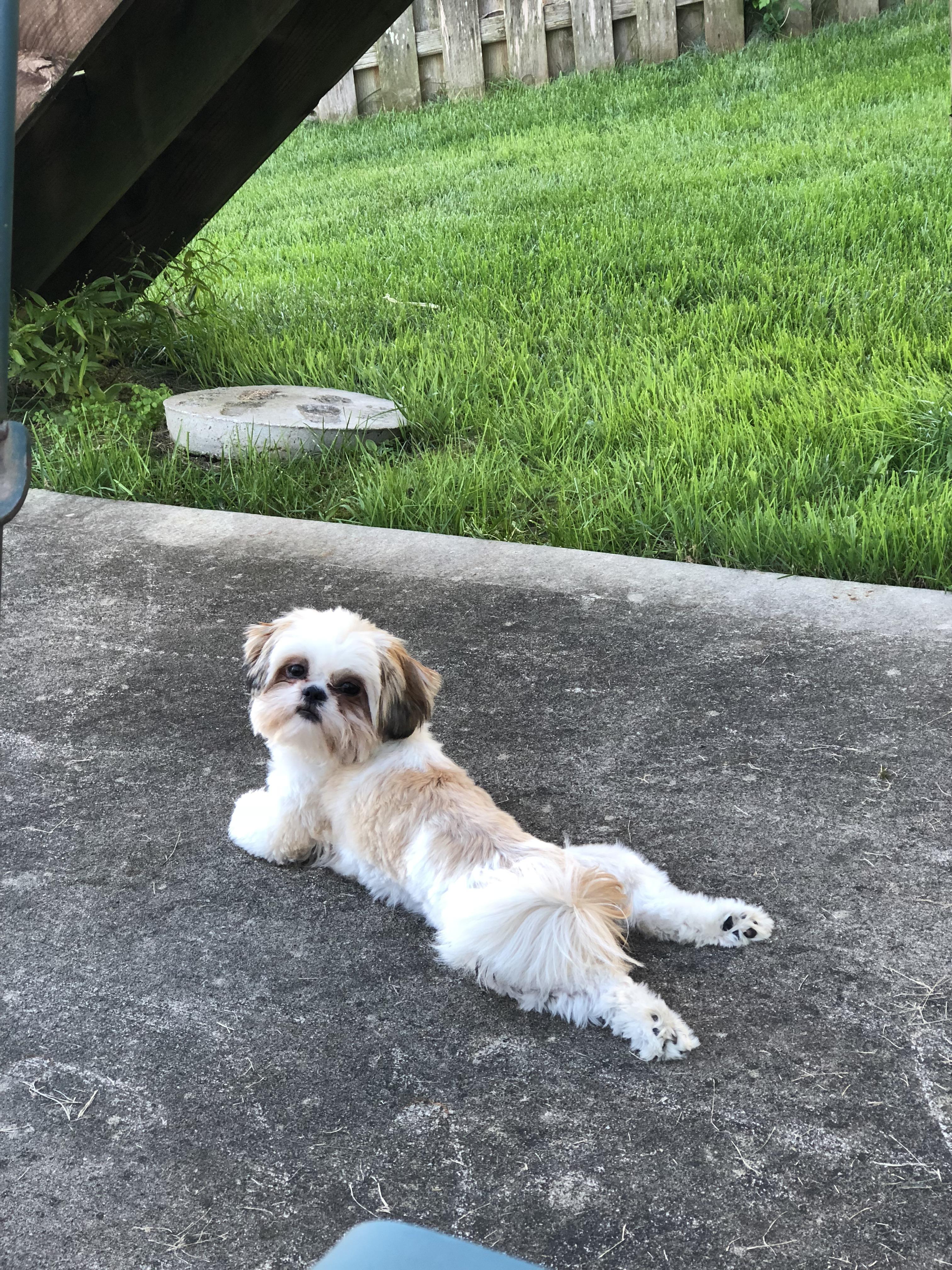 Fall weather is here 😍 | Scrolller