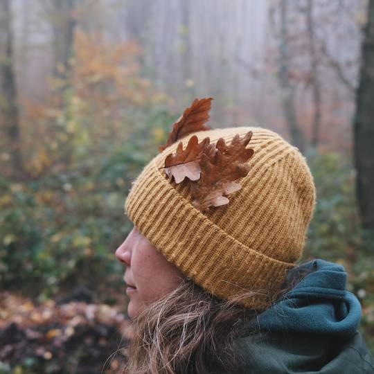 Fall (X100V) | Scrolller