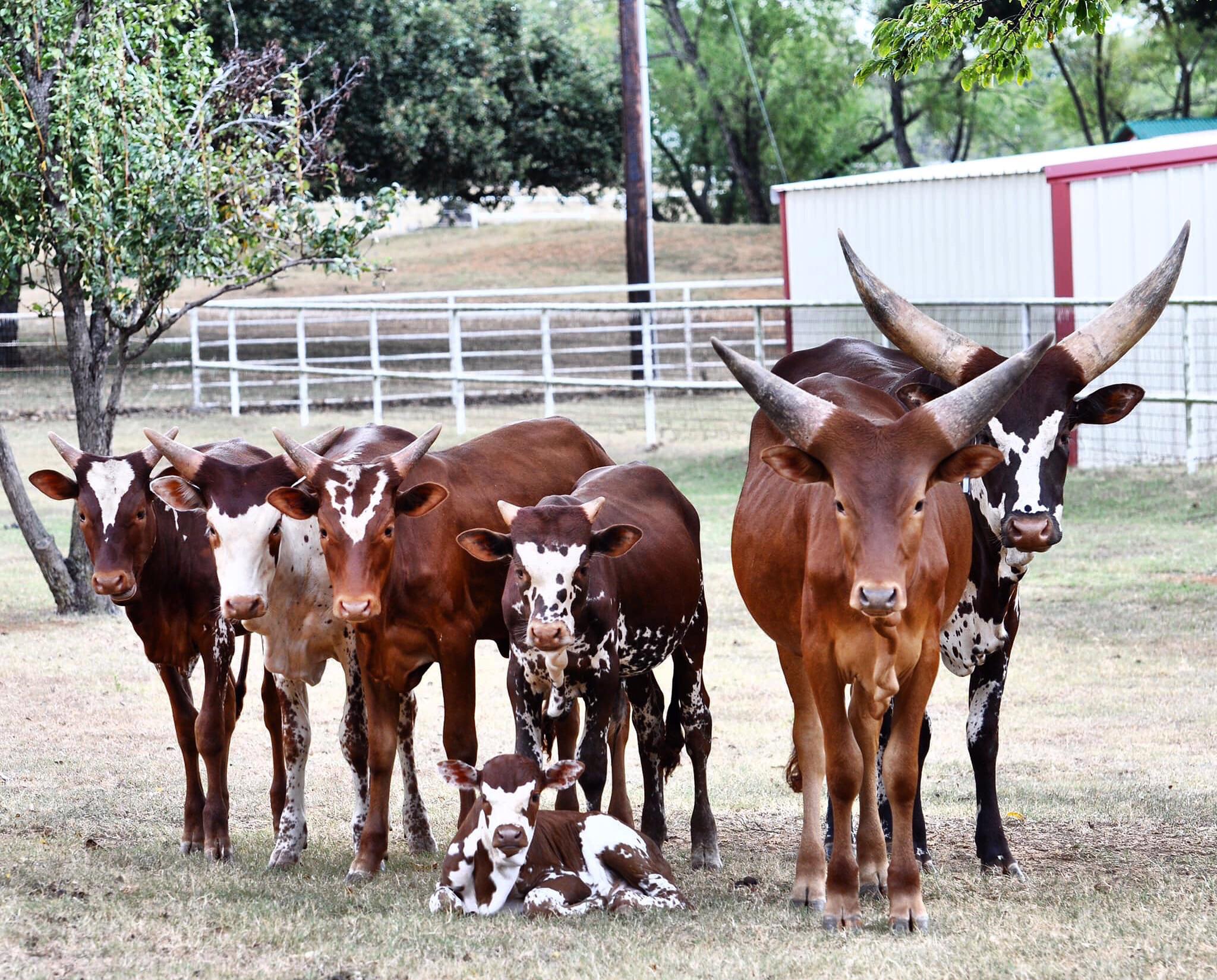 Family Portrait | Scrolller