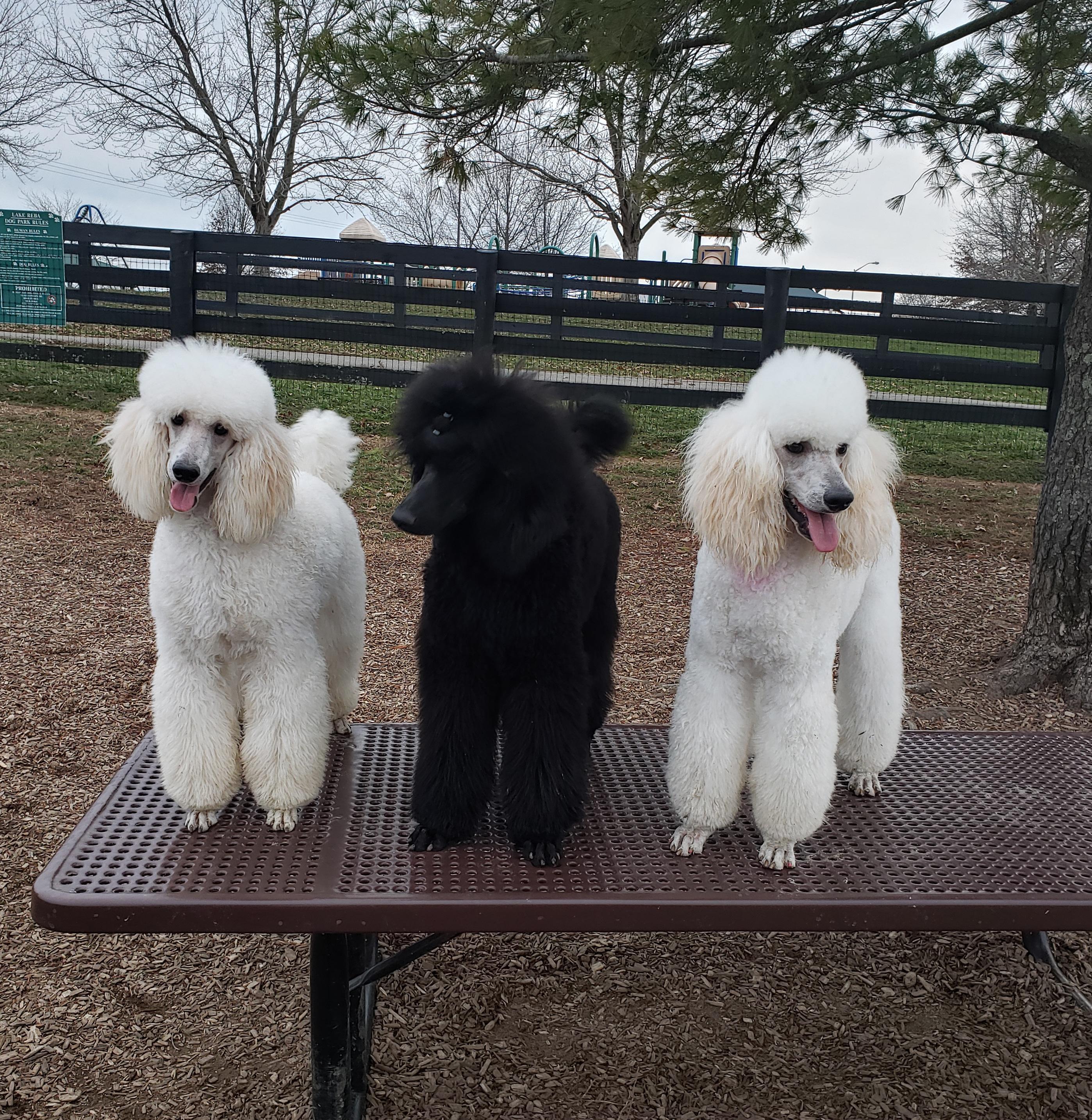 Family reunion! | Scrolller