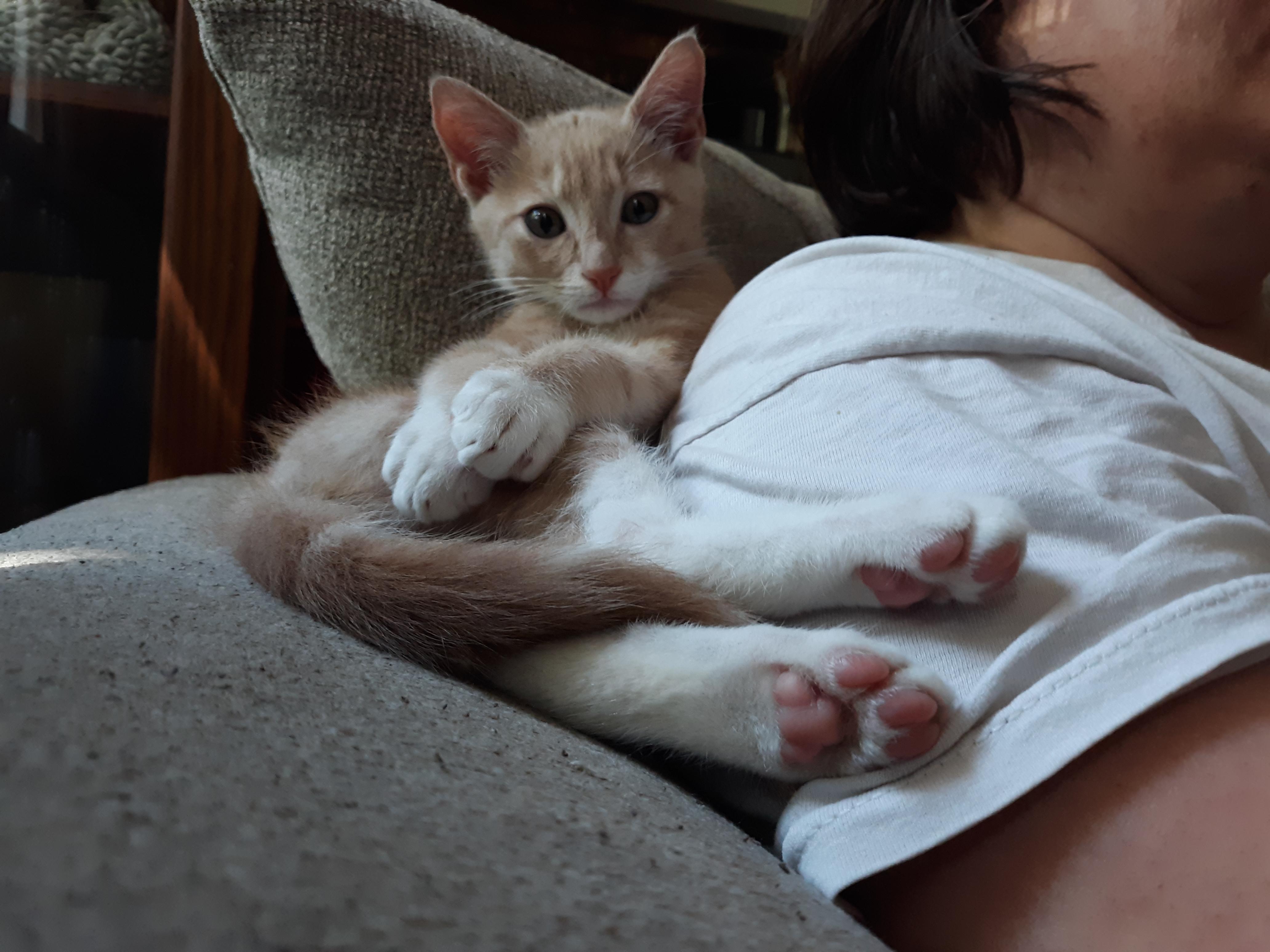 Fancy toe beans | Scrolller