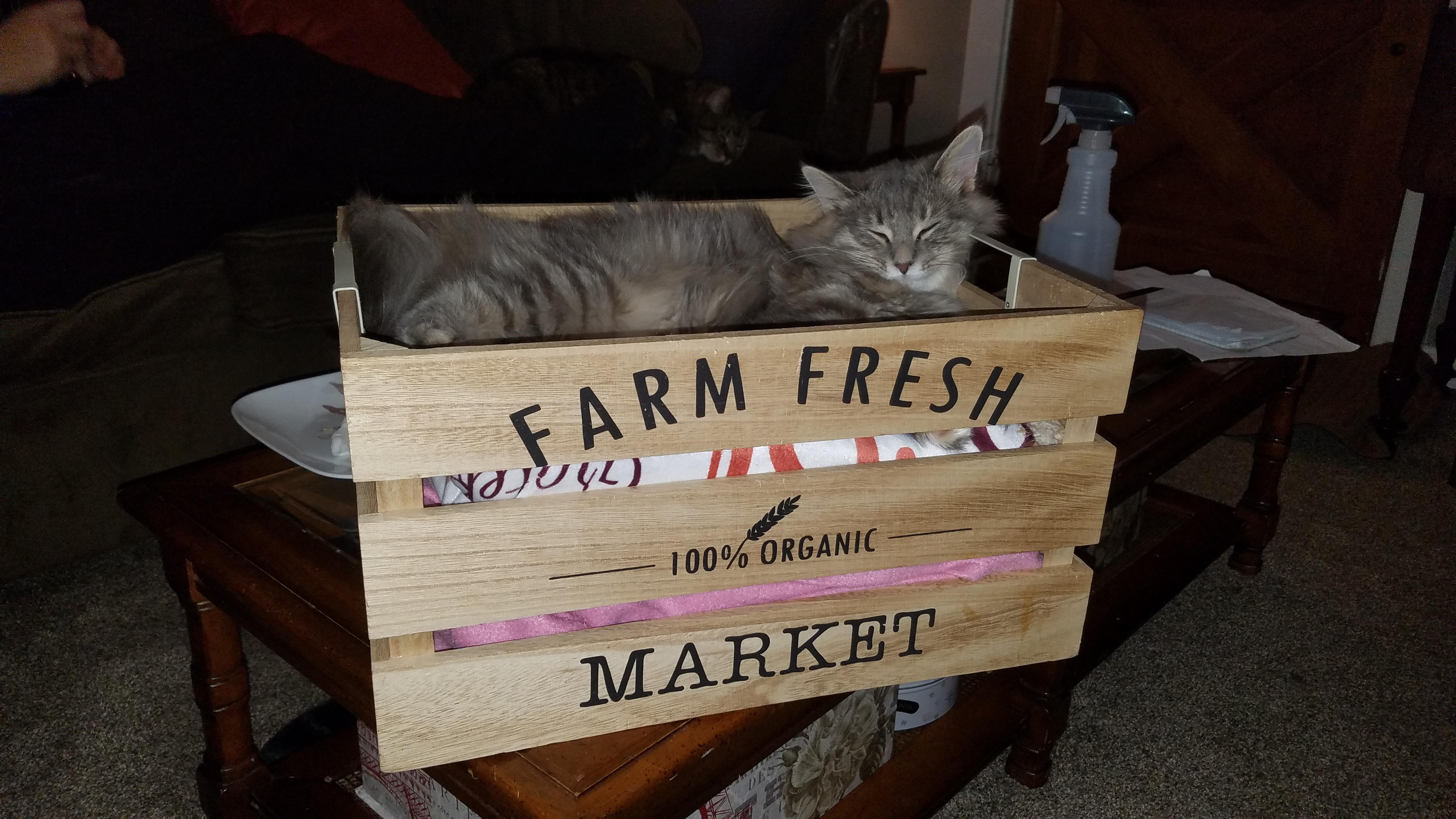 Farm Fresh Norwegian. | Scrolller