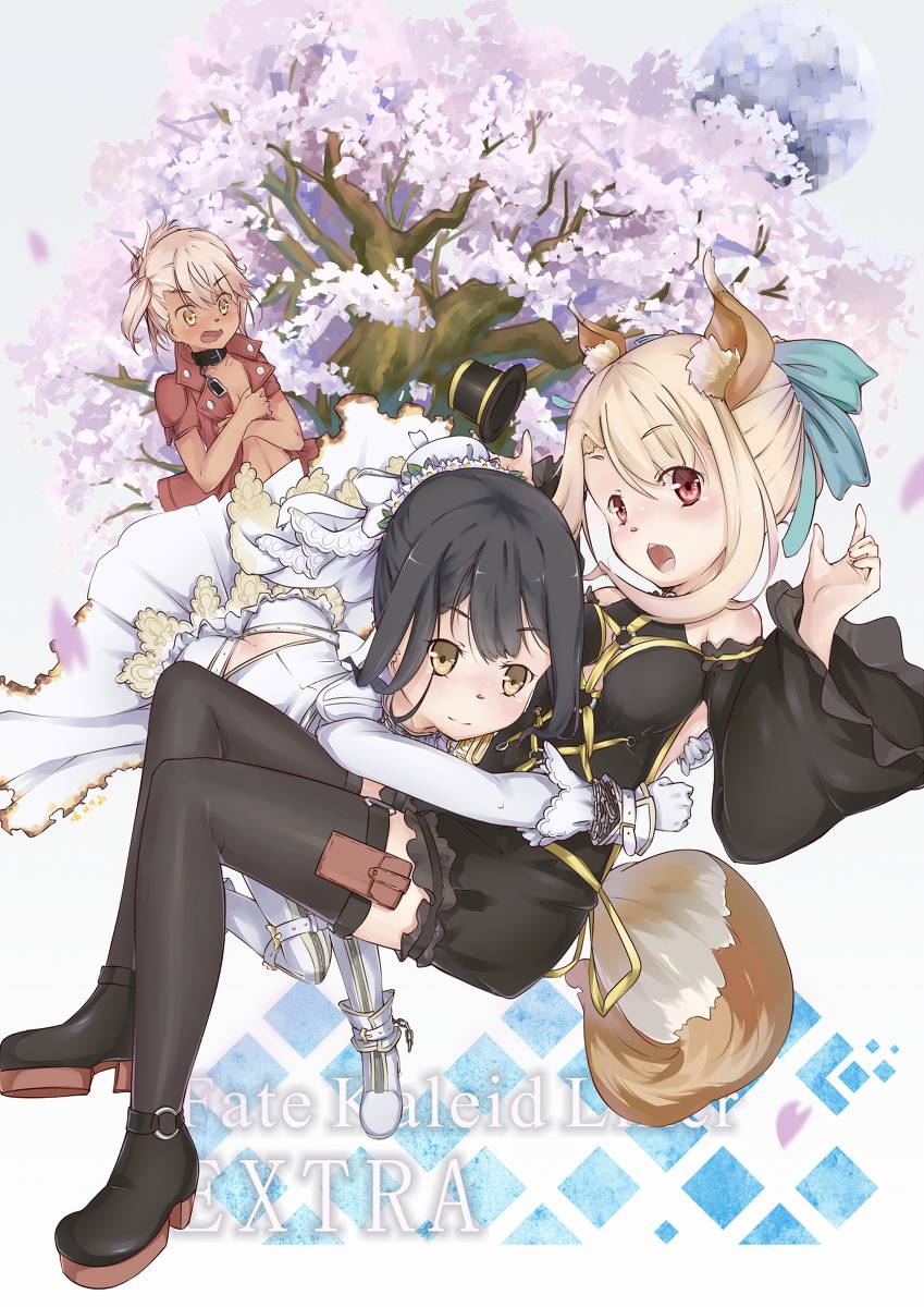 Fate extra crossover | Scrolller