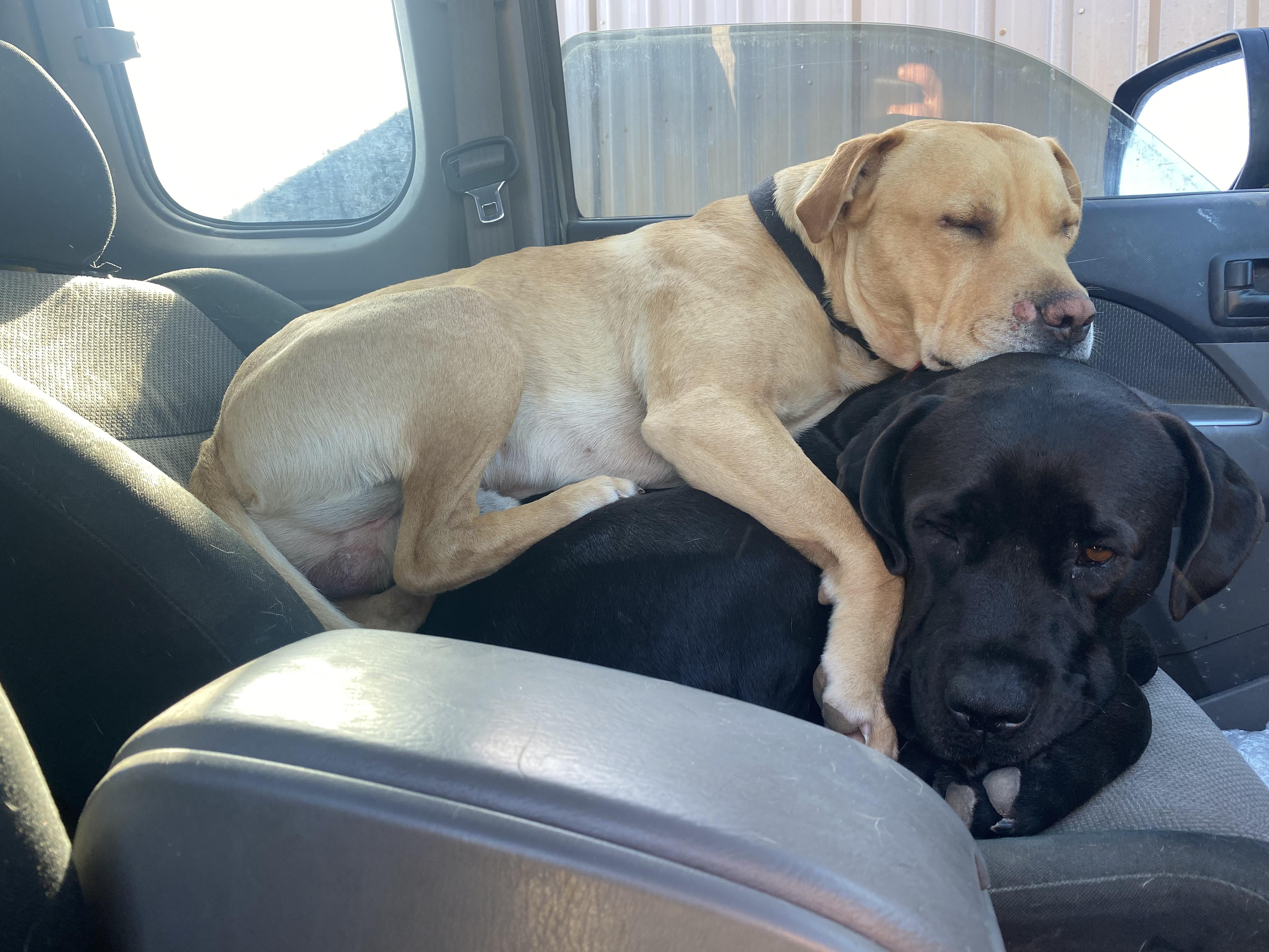 Father and son being bros. | Scrolller