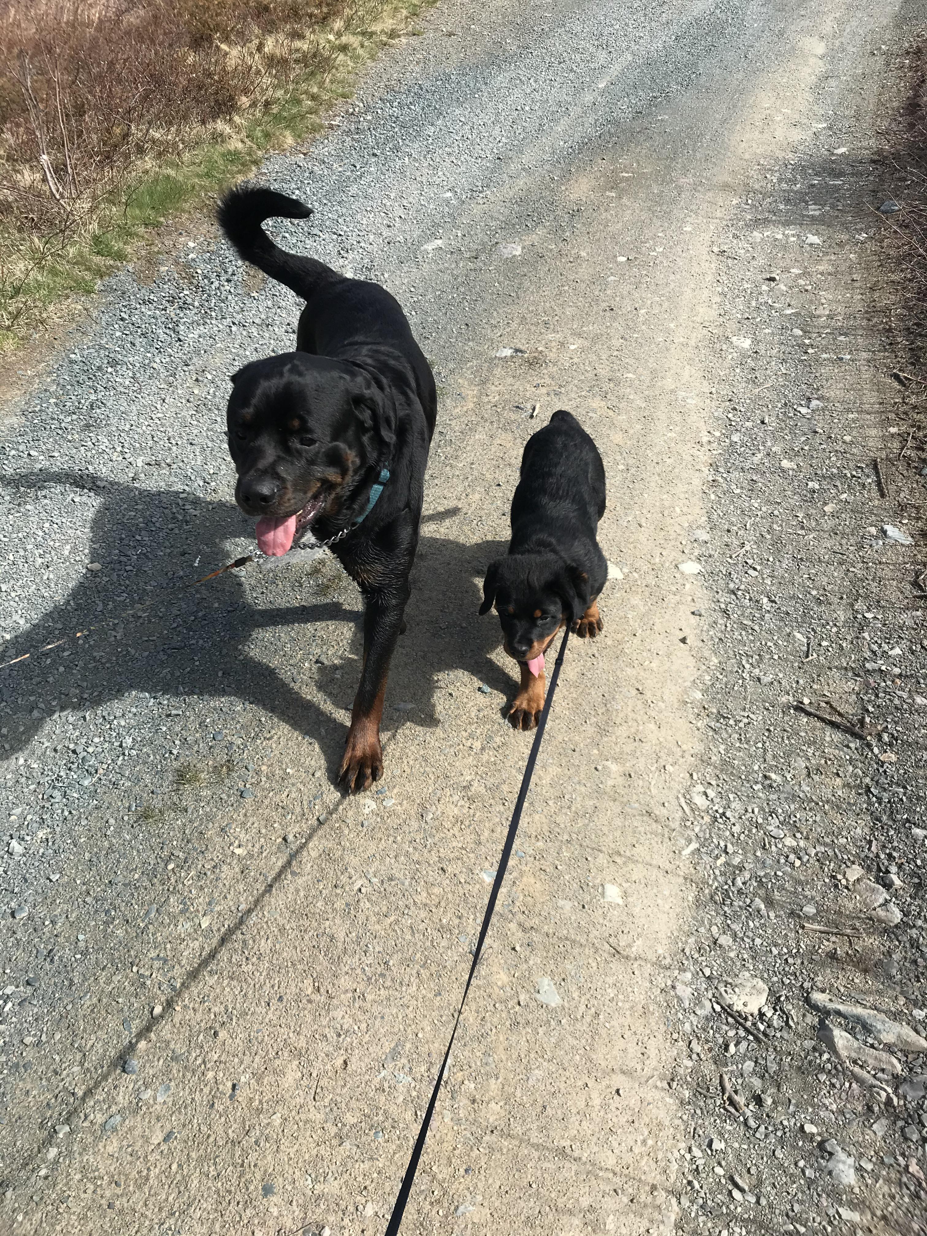 Father And Son Out For A Morning Walk Scrolller