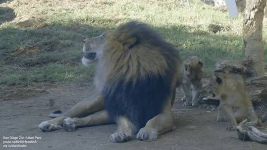 Father son time | Scrolller