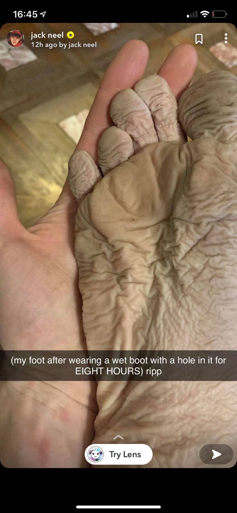 Feed the feet | Scrolller