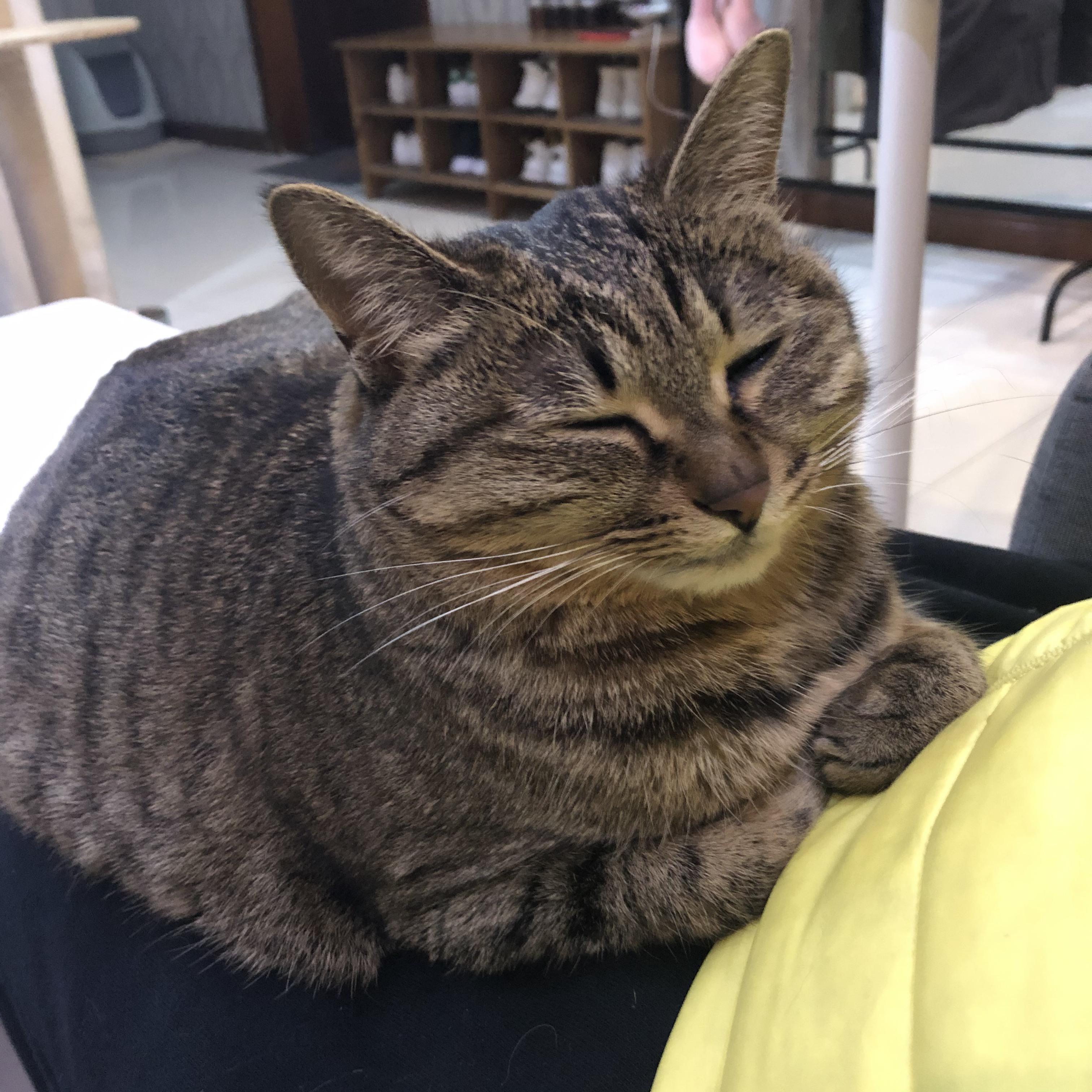 Feeling COZY and smile | Scrolller