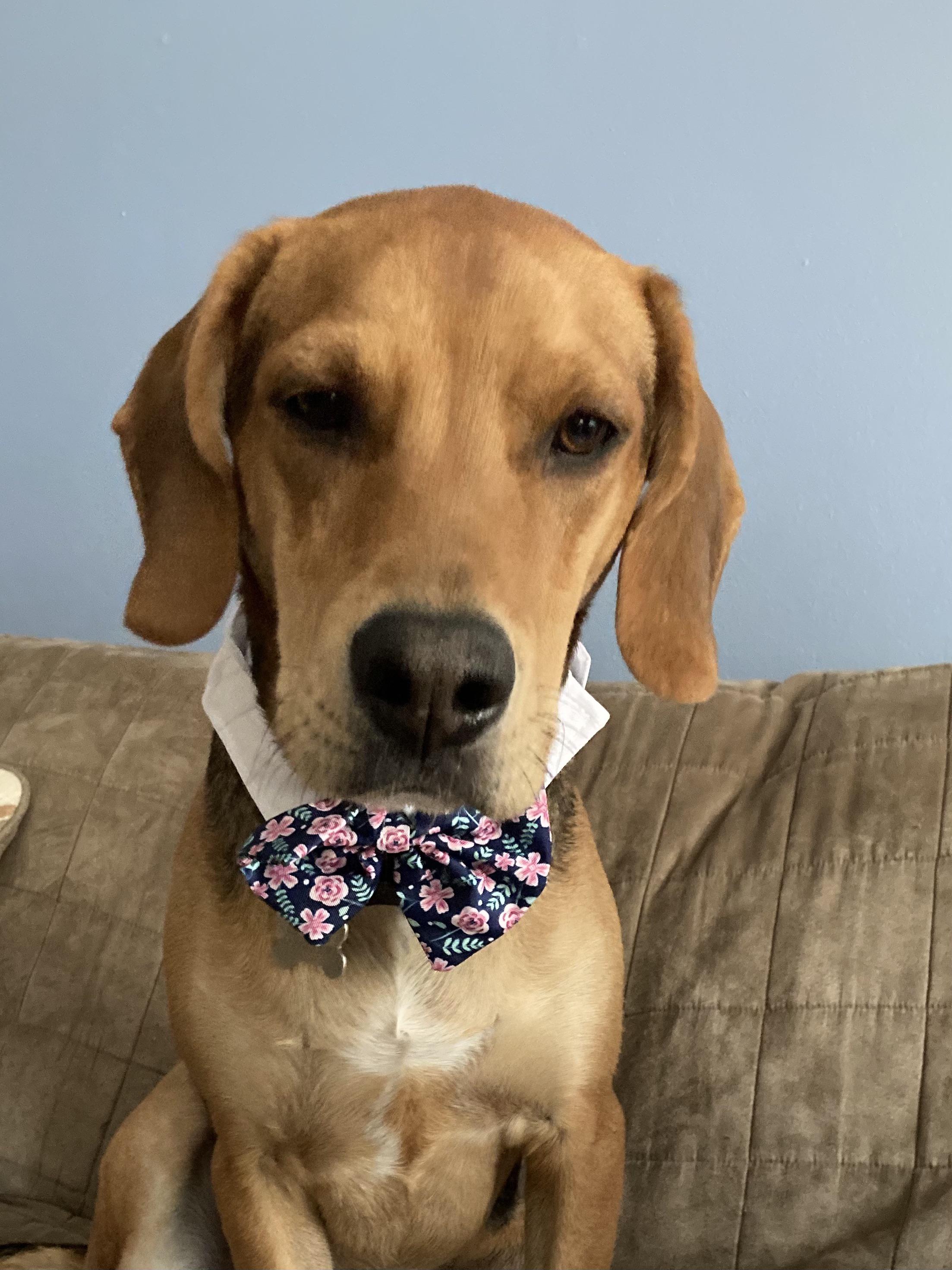 Feeling Dapper Today | Scrolller