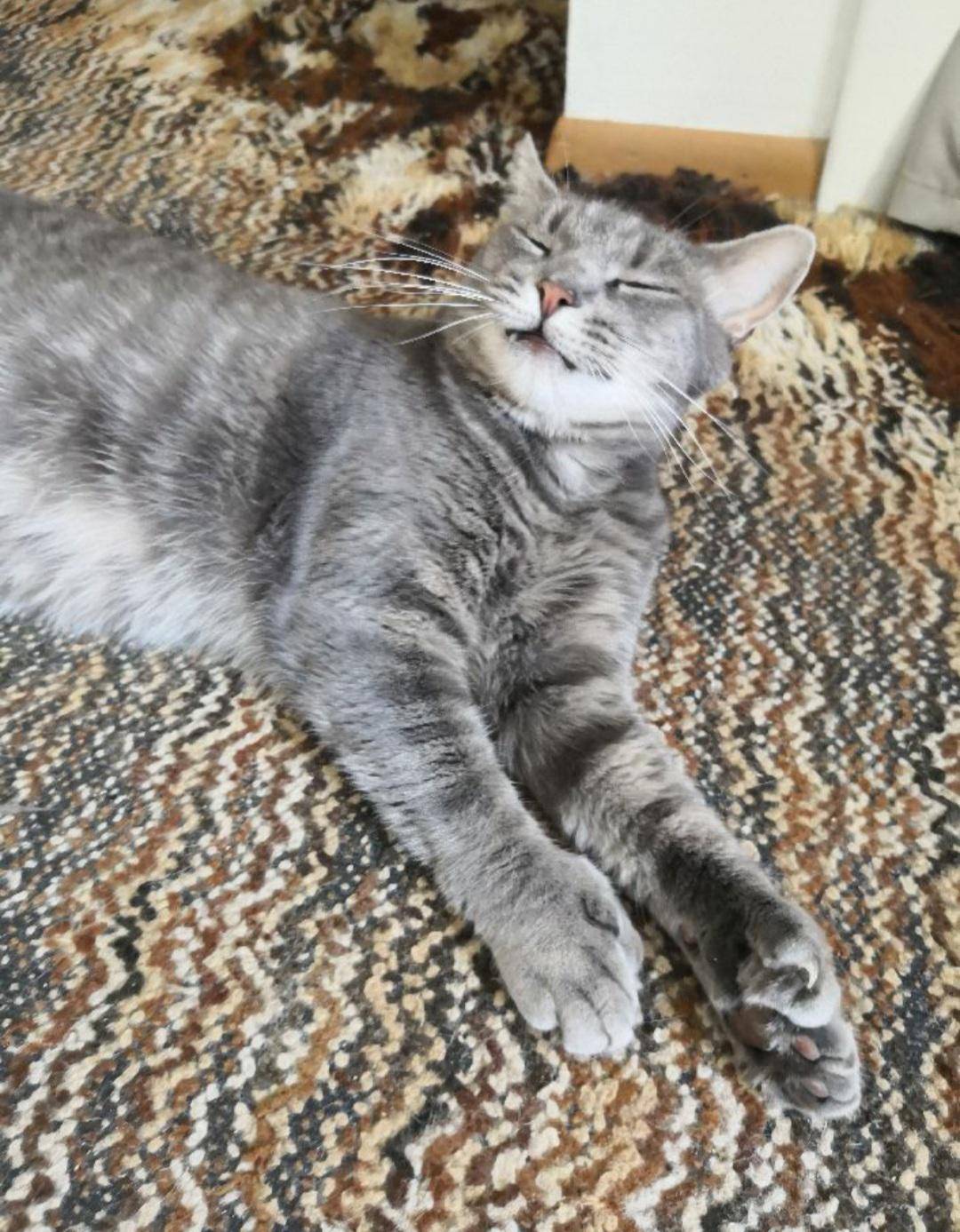 Feeling groovy | Scrolller