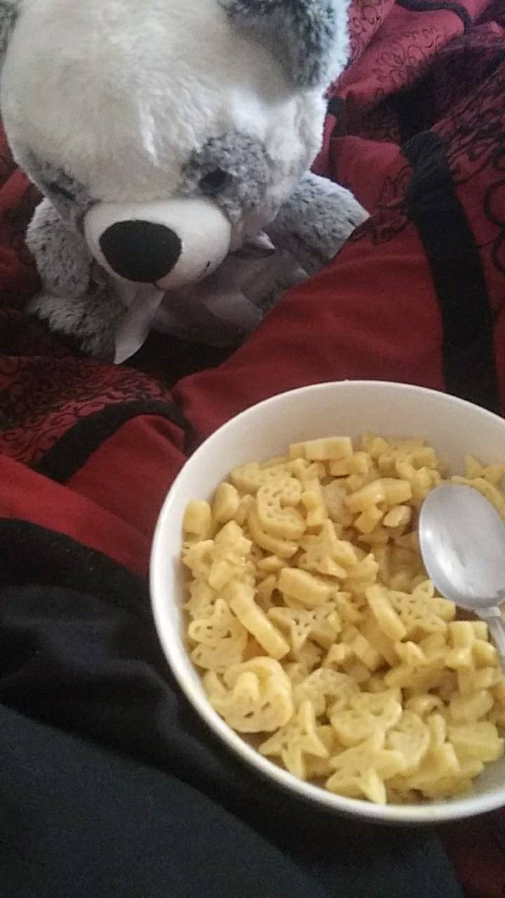 Feeling really little with unicorn mac n cheese and my stuffy Craig 😋 | Scrolller