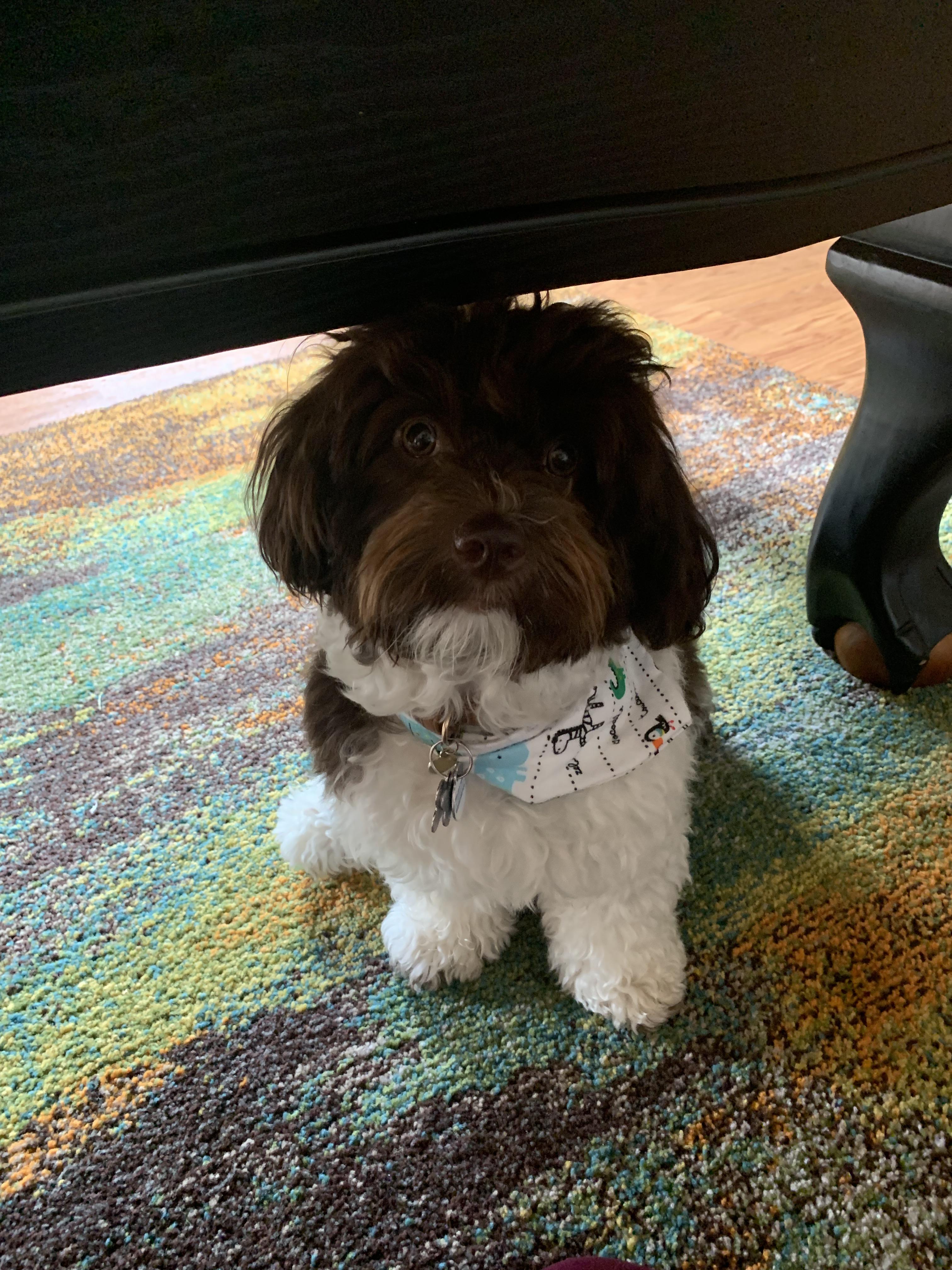 Felt cute might delete later | Scrolller