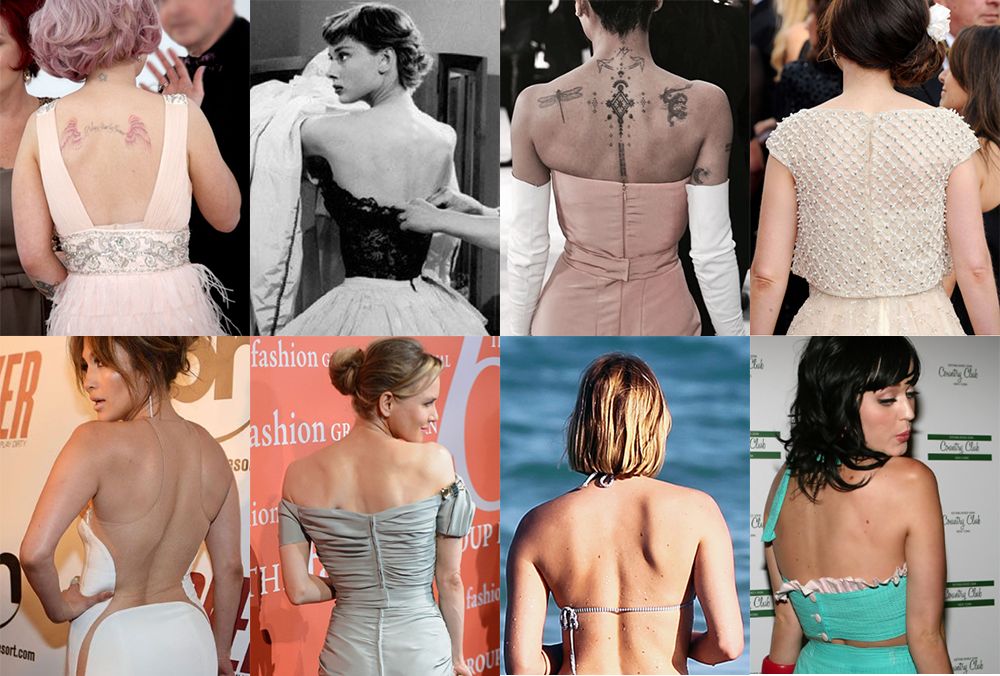 FG short yang bone structure vs SN yang blunt bone structure | Scrolller