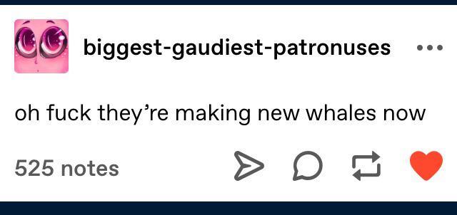 Finally, an update. | Scrolller