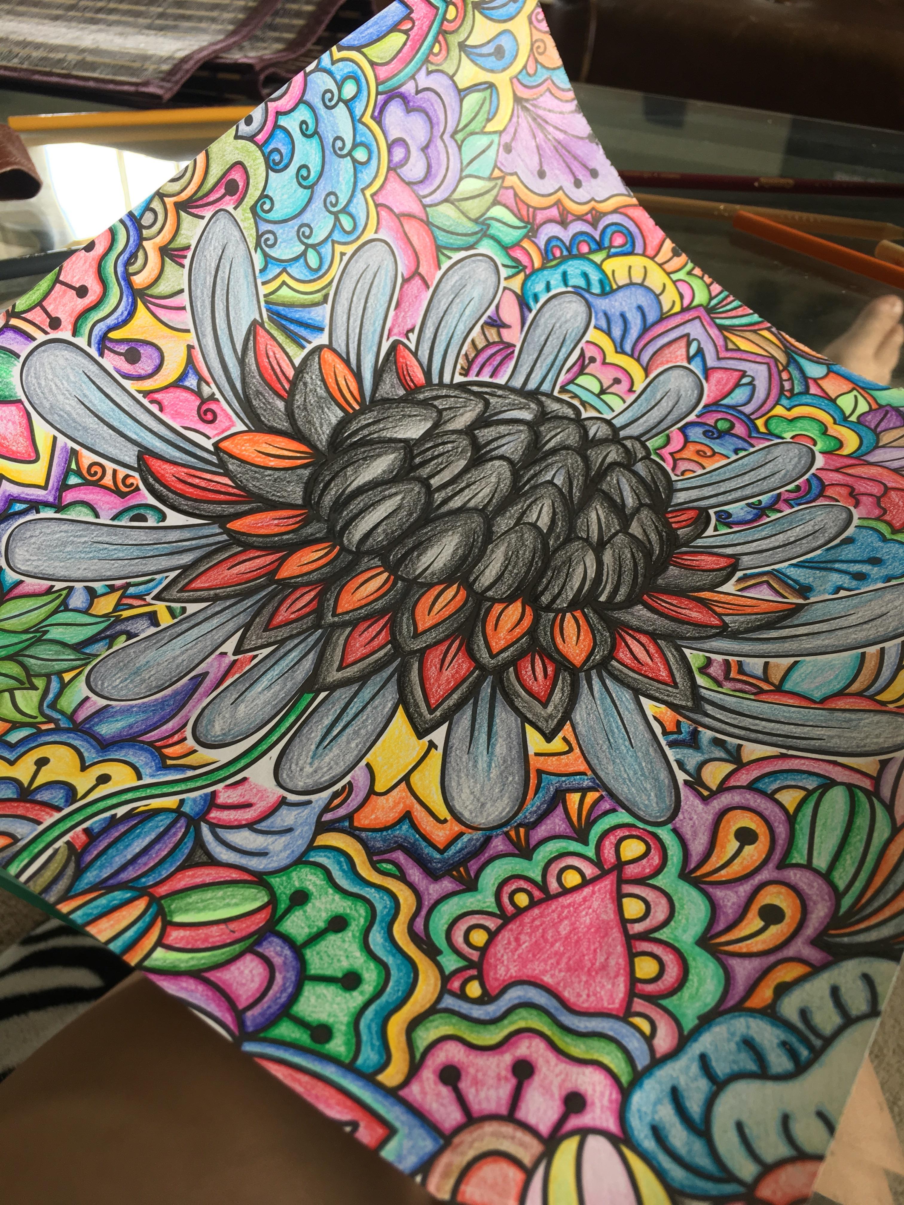 Finally finished this | Scrolller