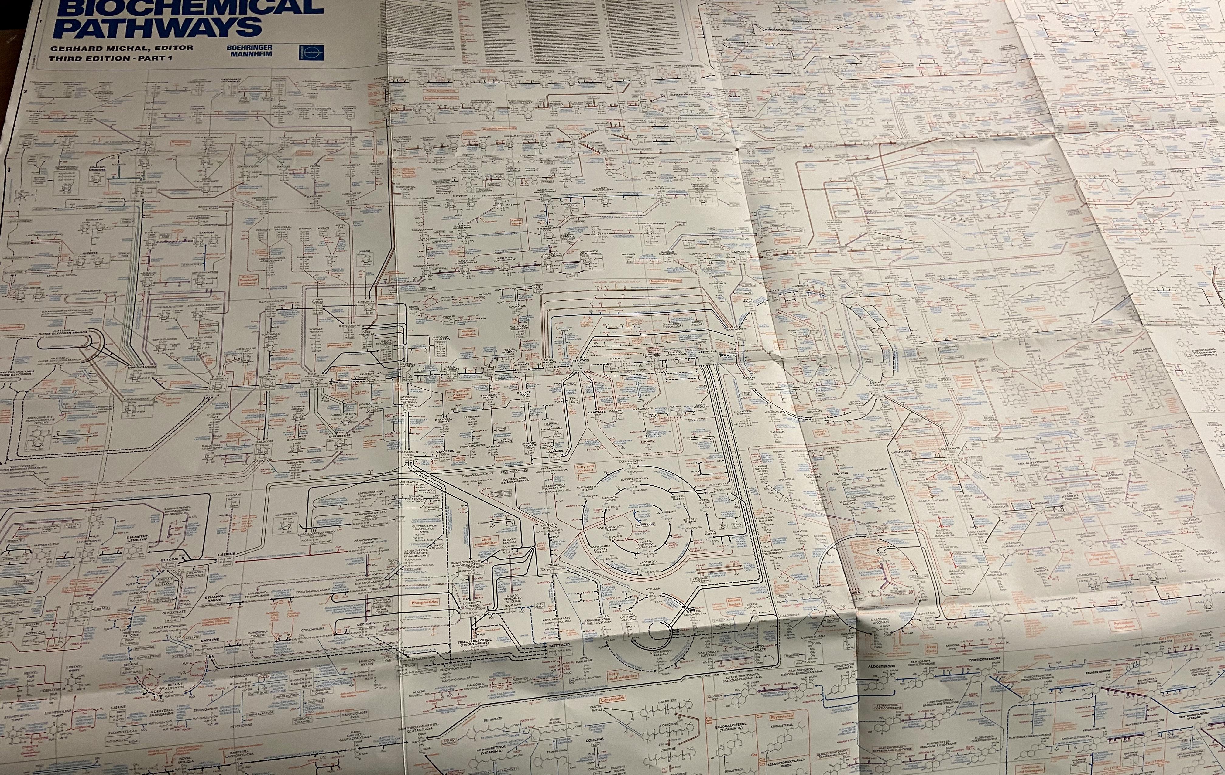 Finally got a copy of Roche biochemical pathways! | Scrolller