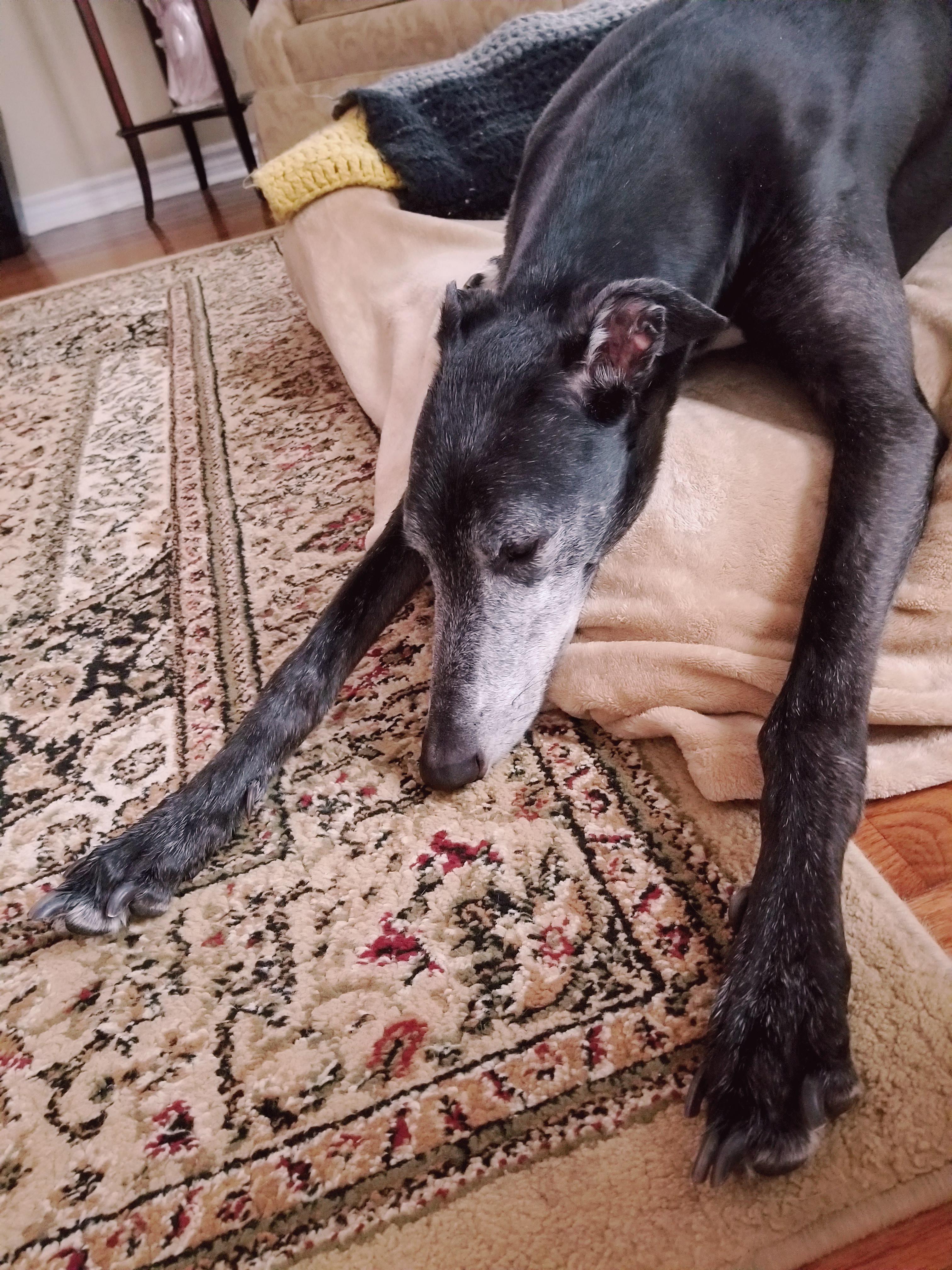 Finally it's Friday! | Scrolller