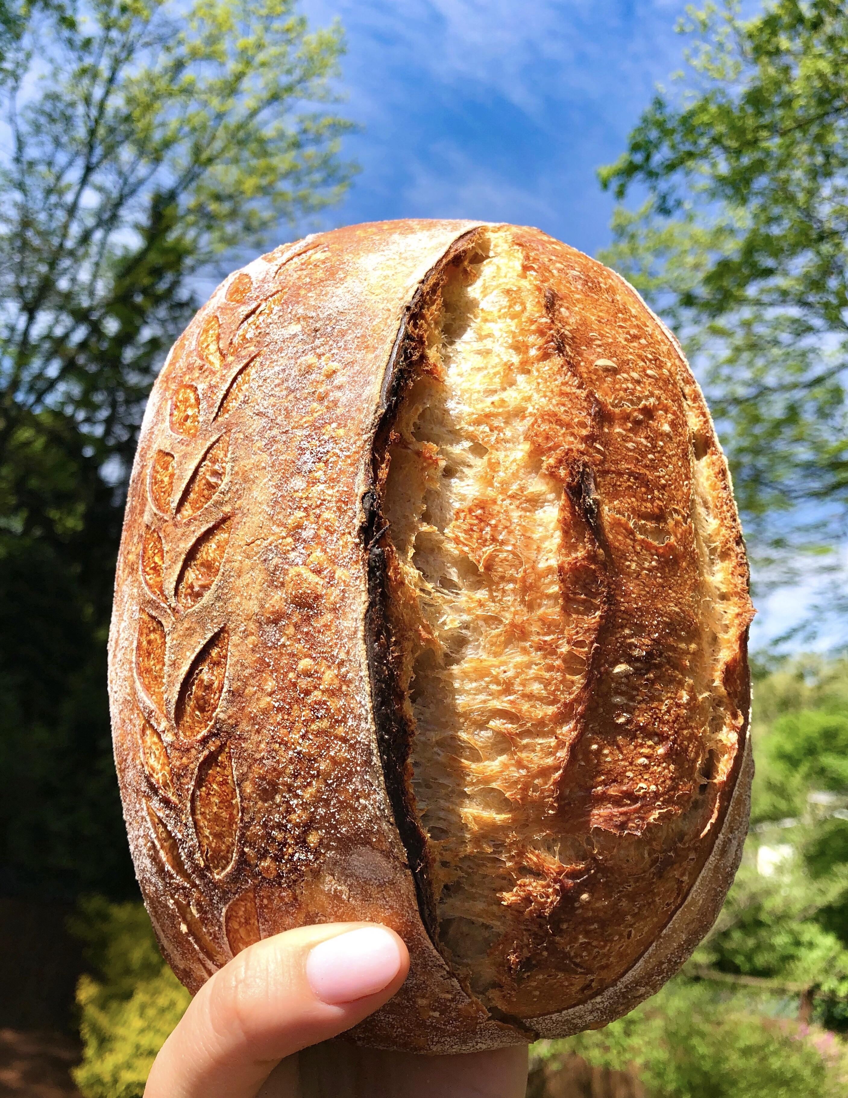 Finally nailed the perfect loaf | Scrolller