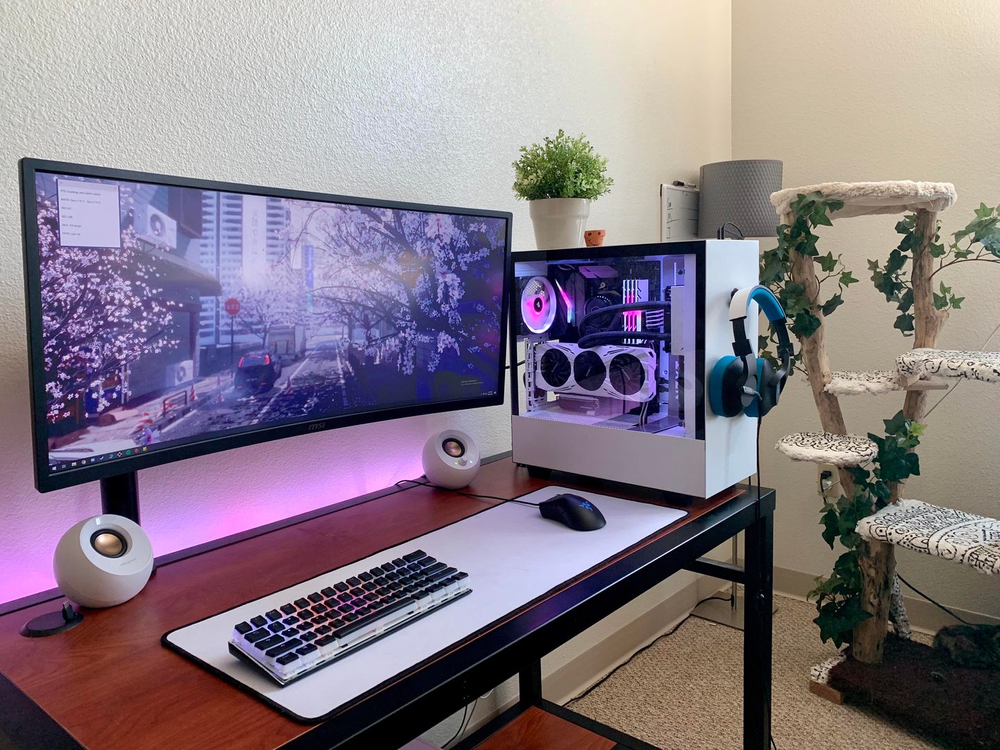 Finally reached full ascension. | Scrolller