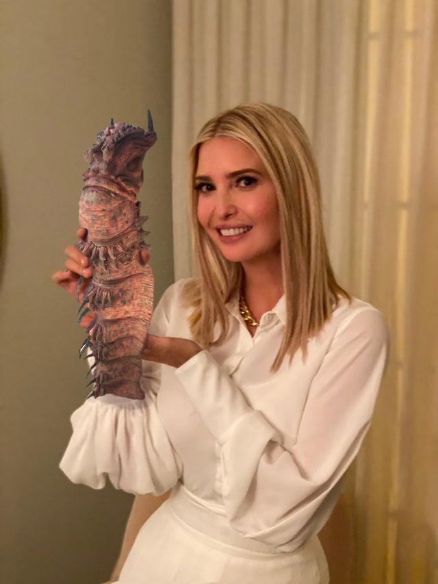 Find something new! | Scrolller