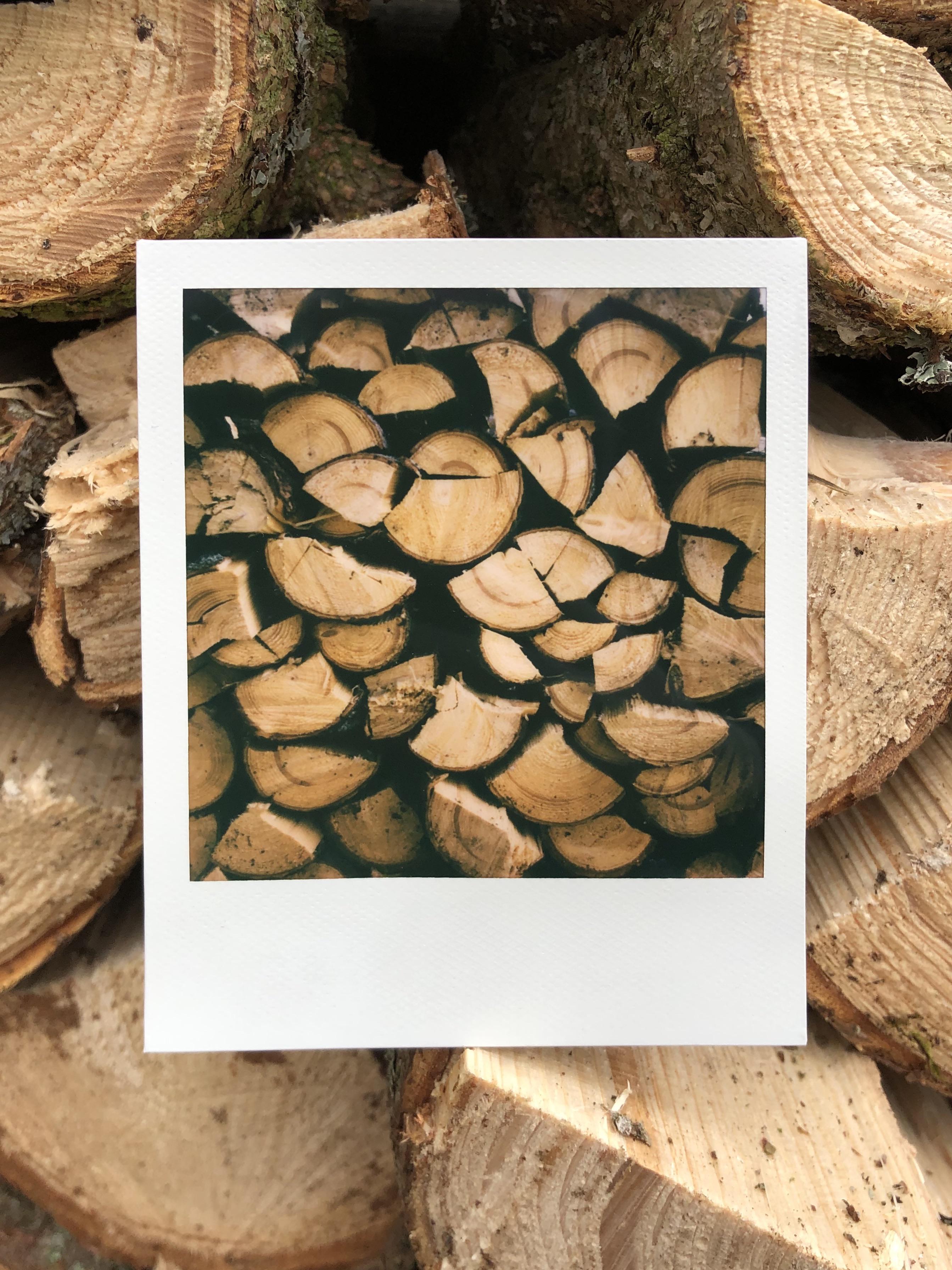 Firewood [SX-70] | Scrolller