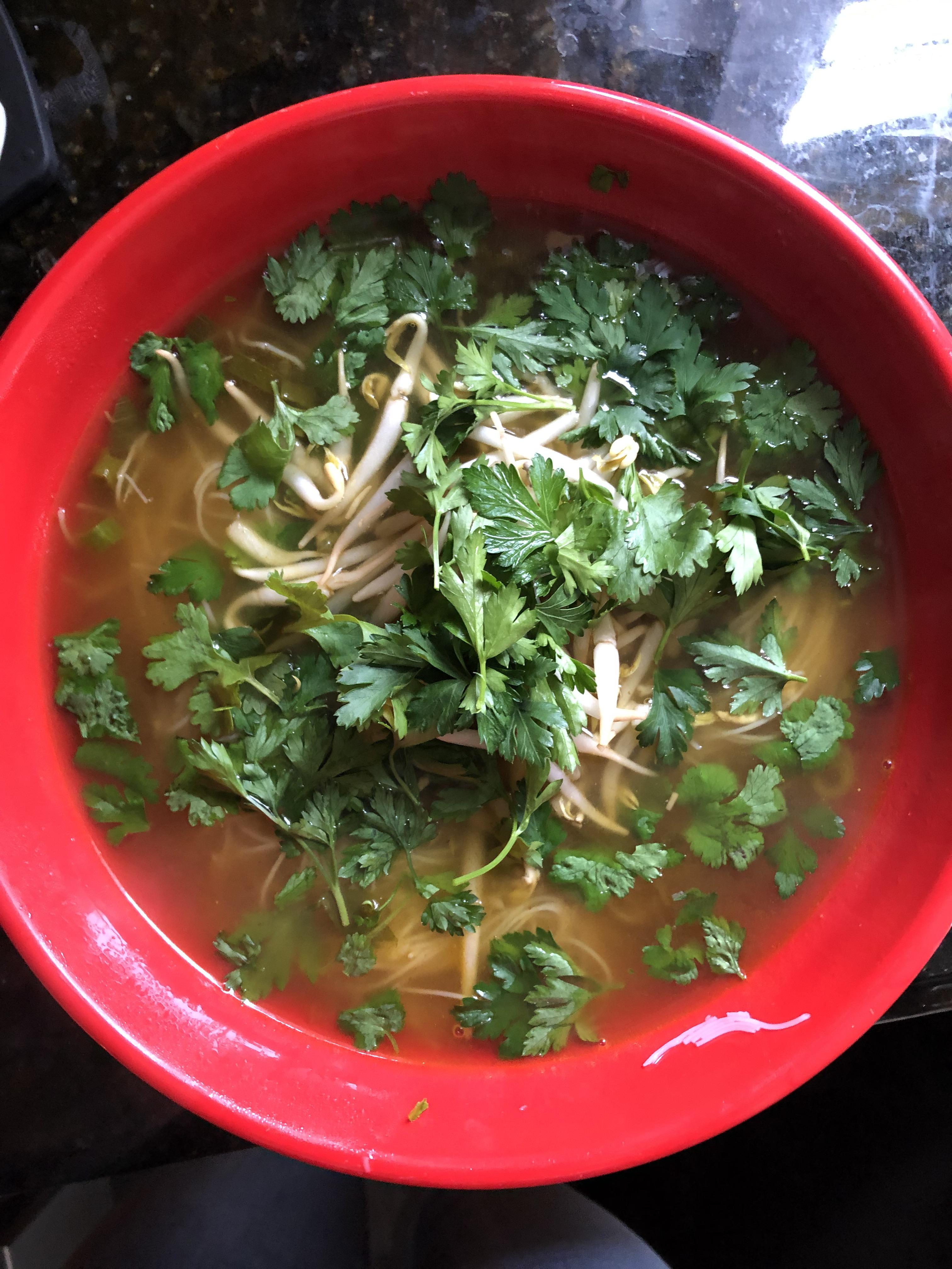 First attempt at making Vegetarian Pho | Scrolller