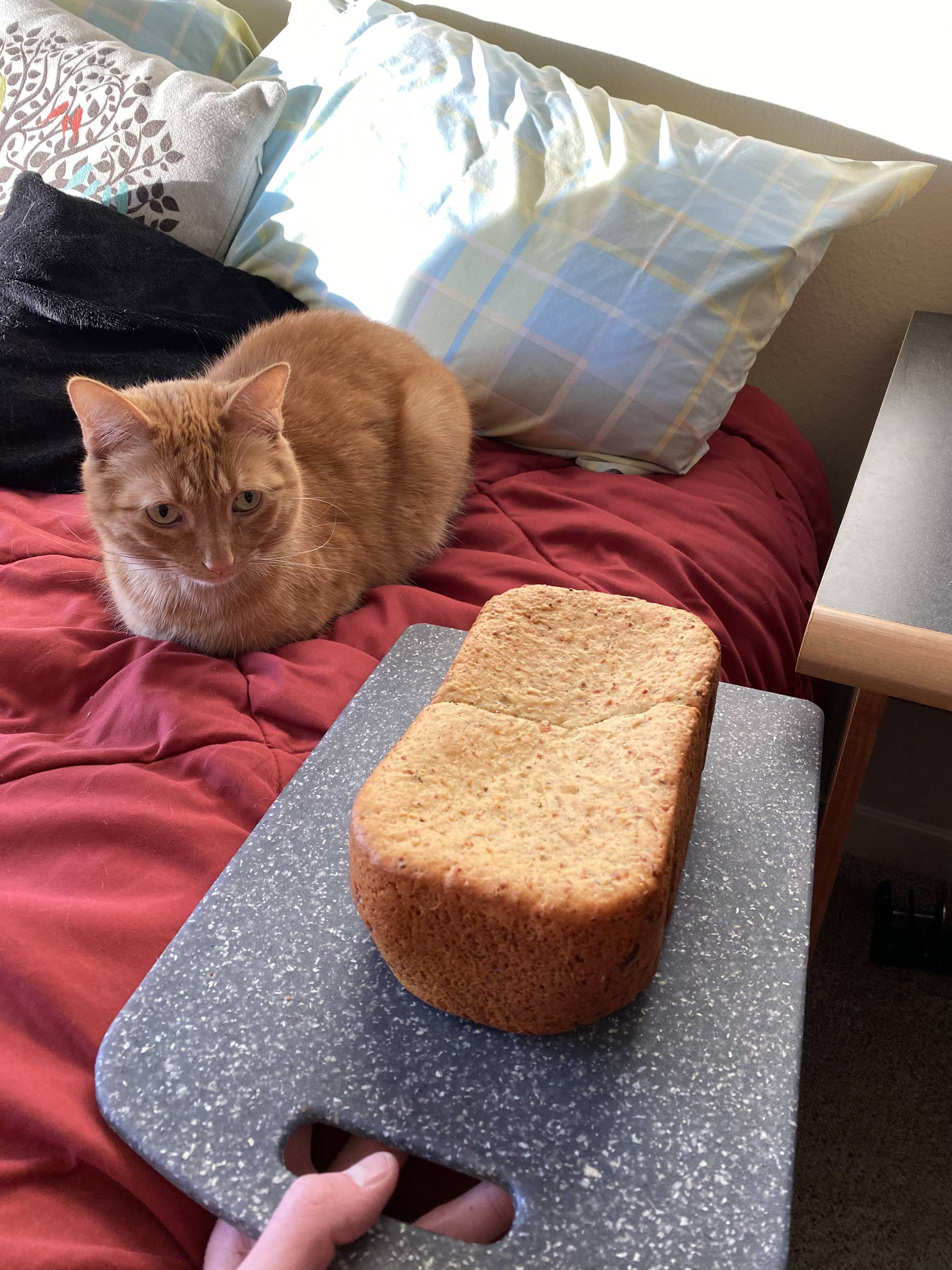 First bread making attempt + another orange loaf | Scrolller