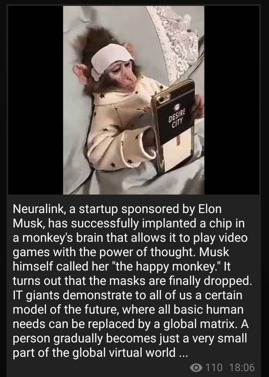 First ever Gamer Monke! Thanks Elon! | Scrolller