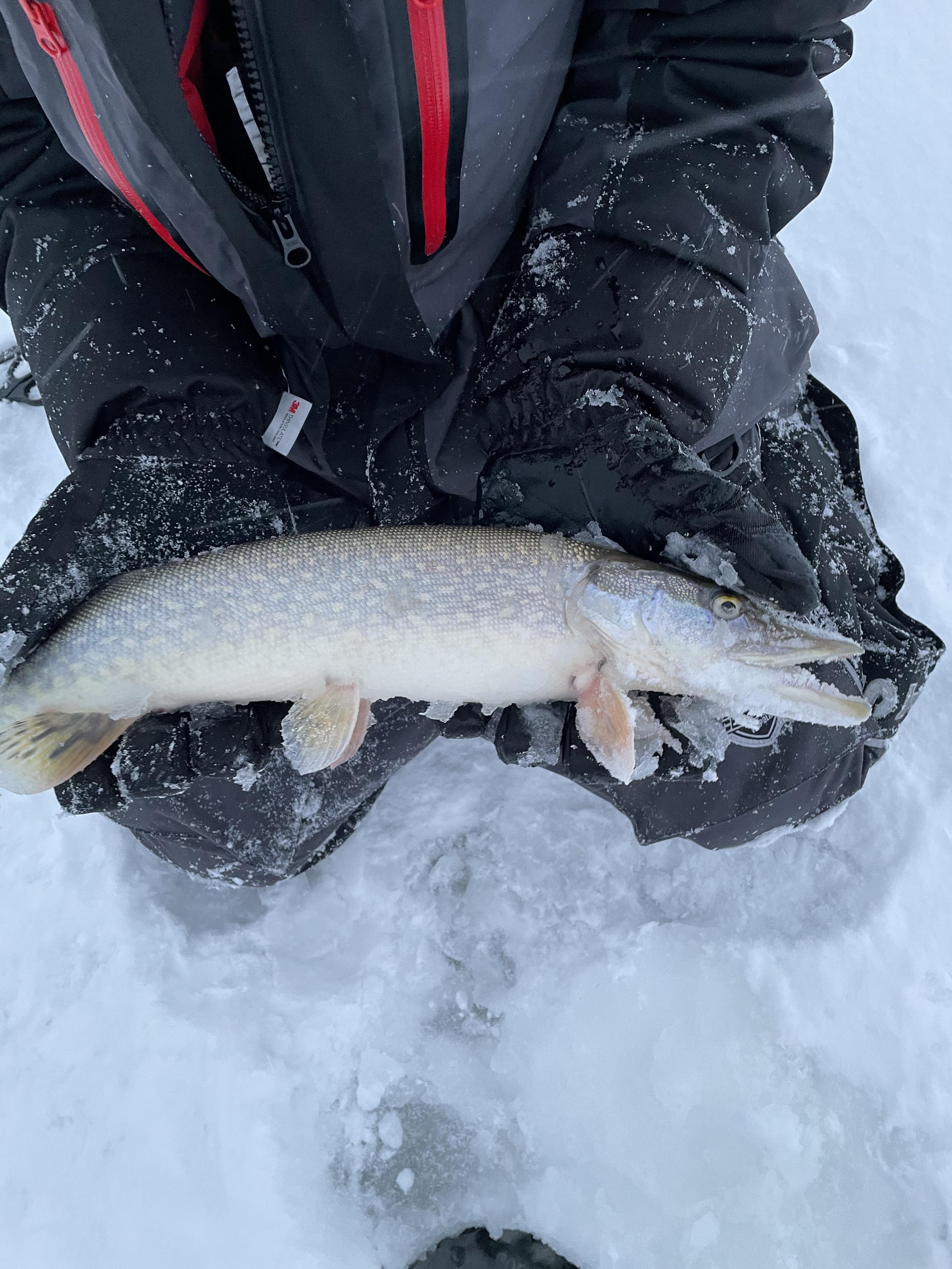 First ever pike! Lake Champlain | Scrolller