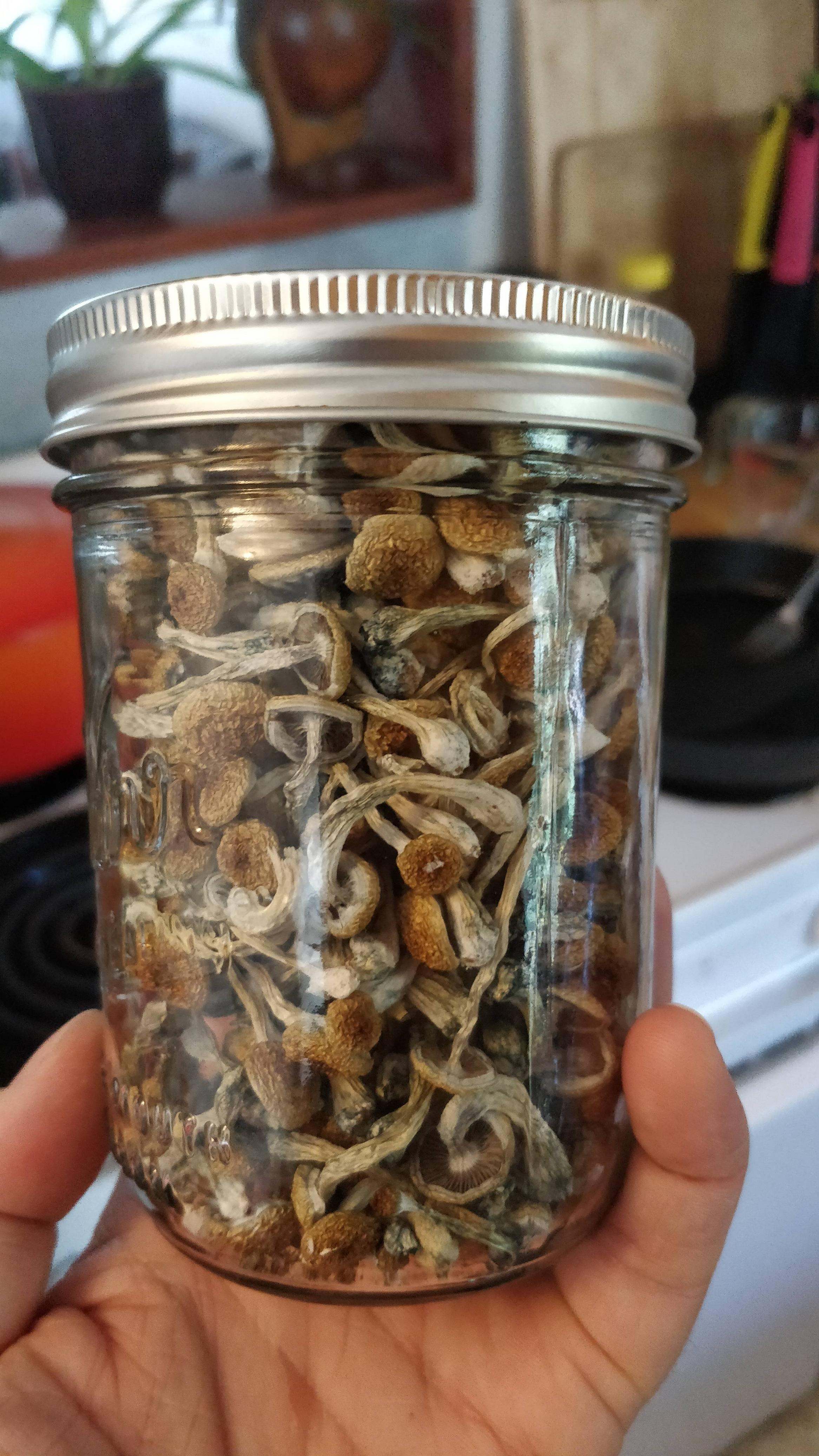 First flush dried of these tiny teachers | Scrolller