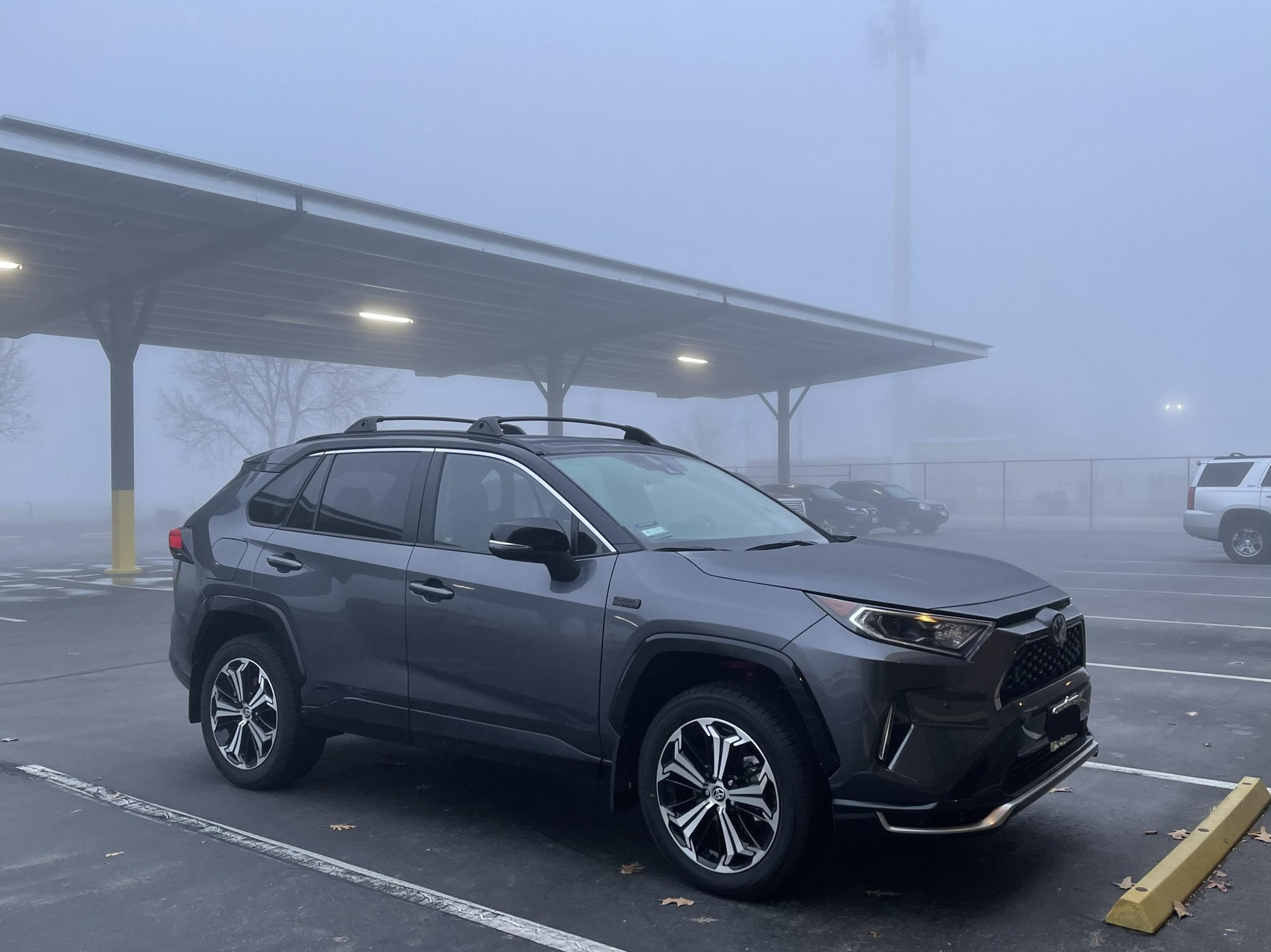 First foggy day with my XSE Premium | Scrolller