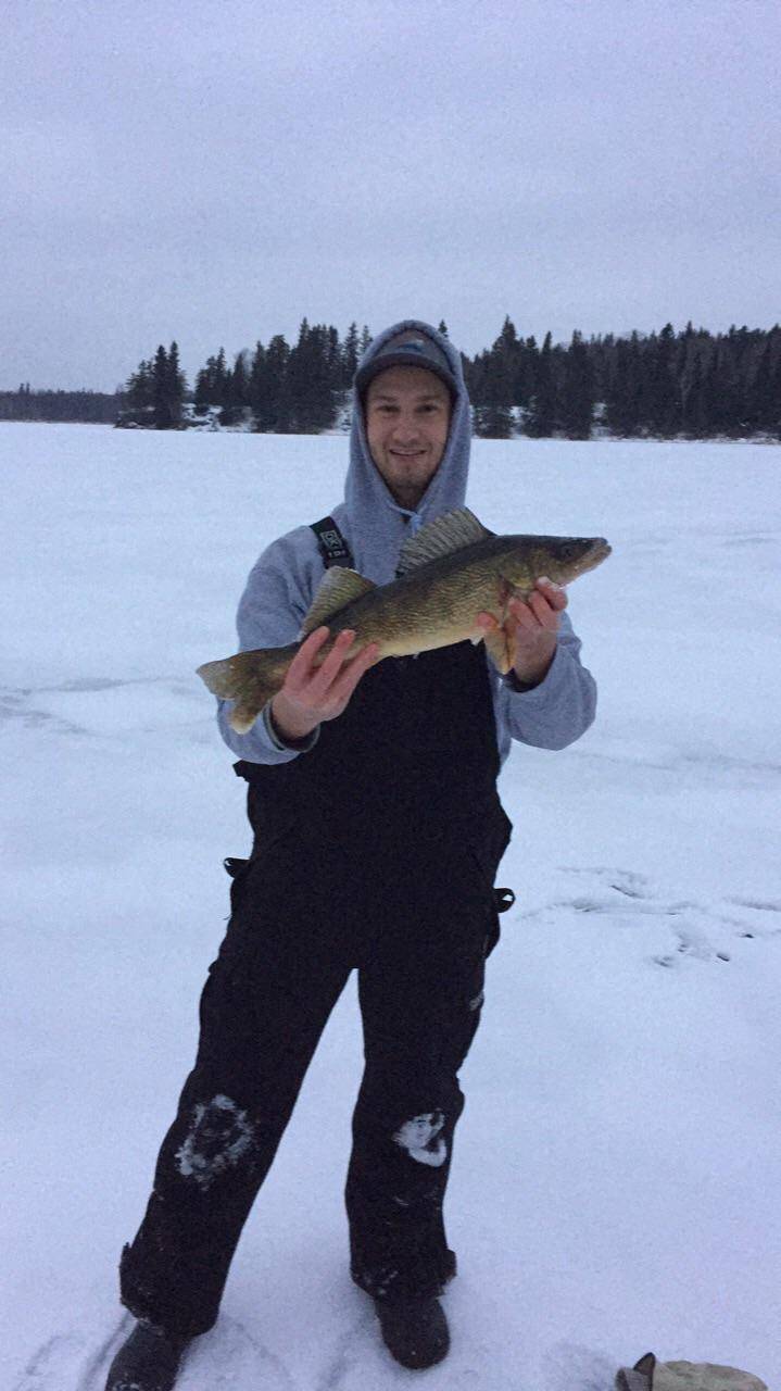 First ice walleye | Scrolller